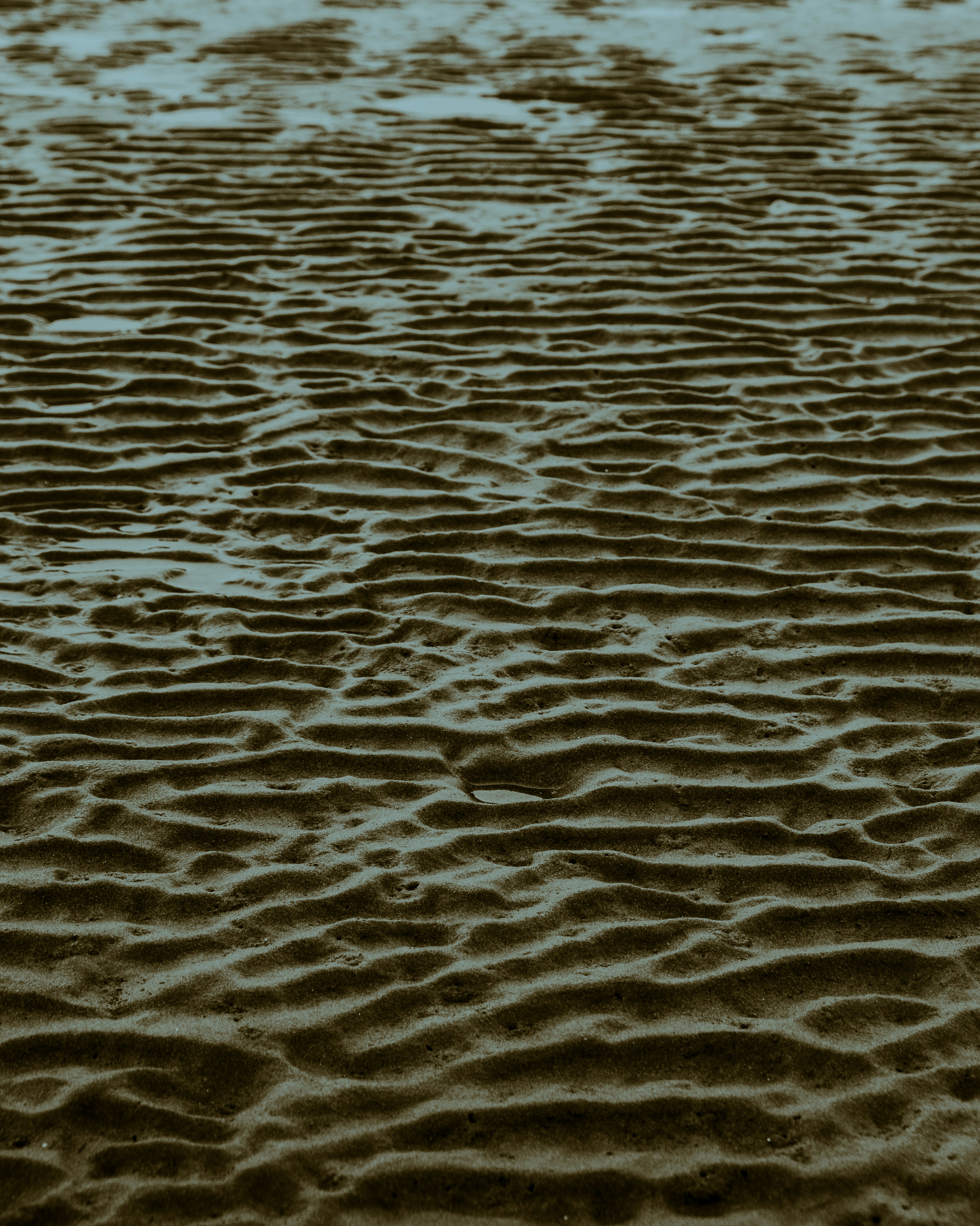 A sandy beach covered in lots of sand photo – Free Canada Image on Unsplash