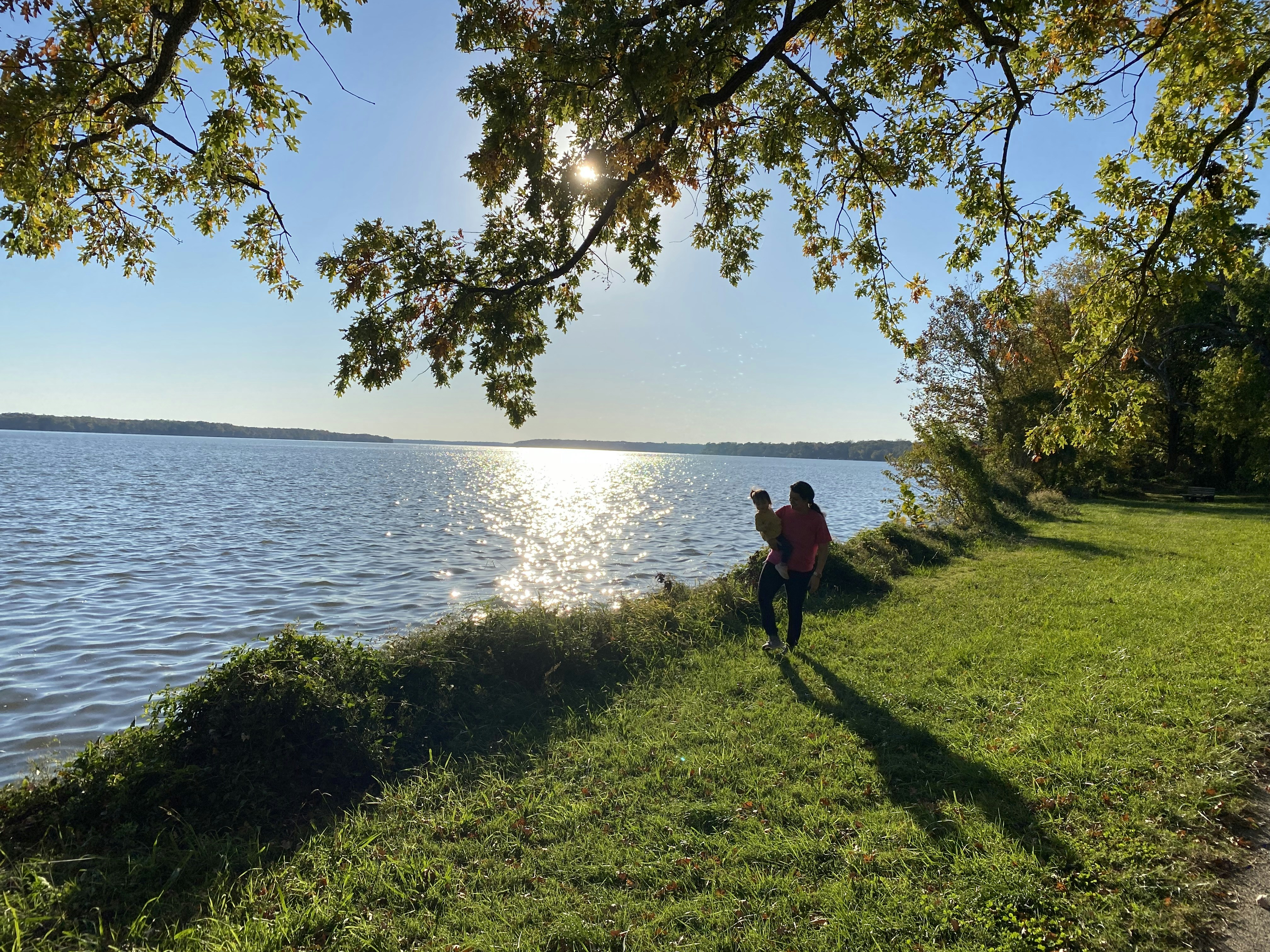 Sunlit Stroll Along the Waterfront