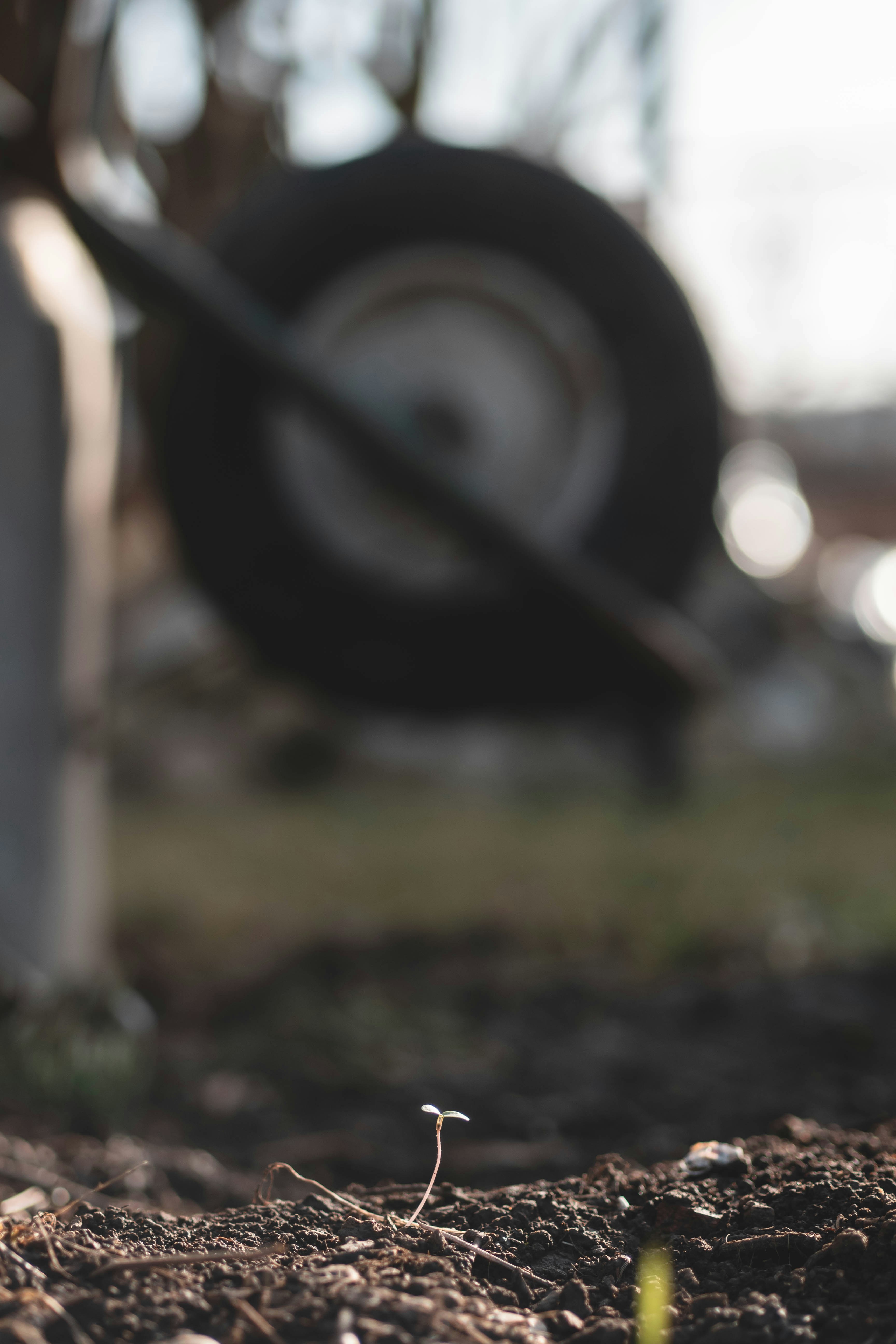Emergence in the Soil: a Tiny Sprout Against Ominous Machinery