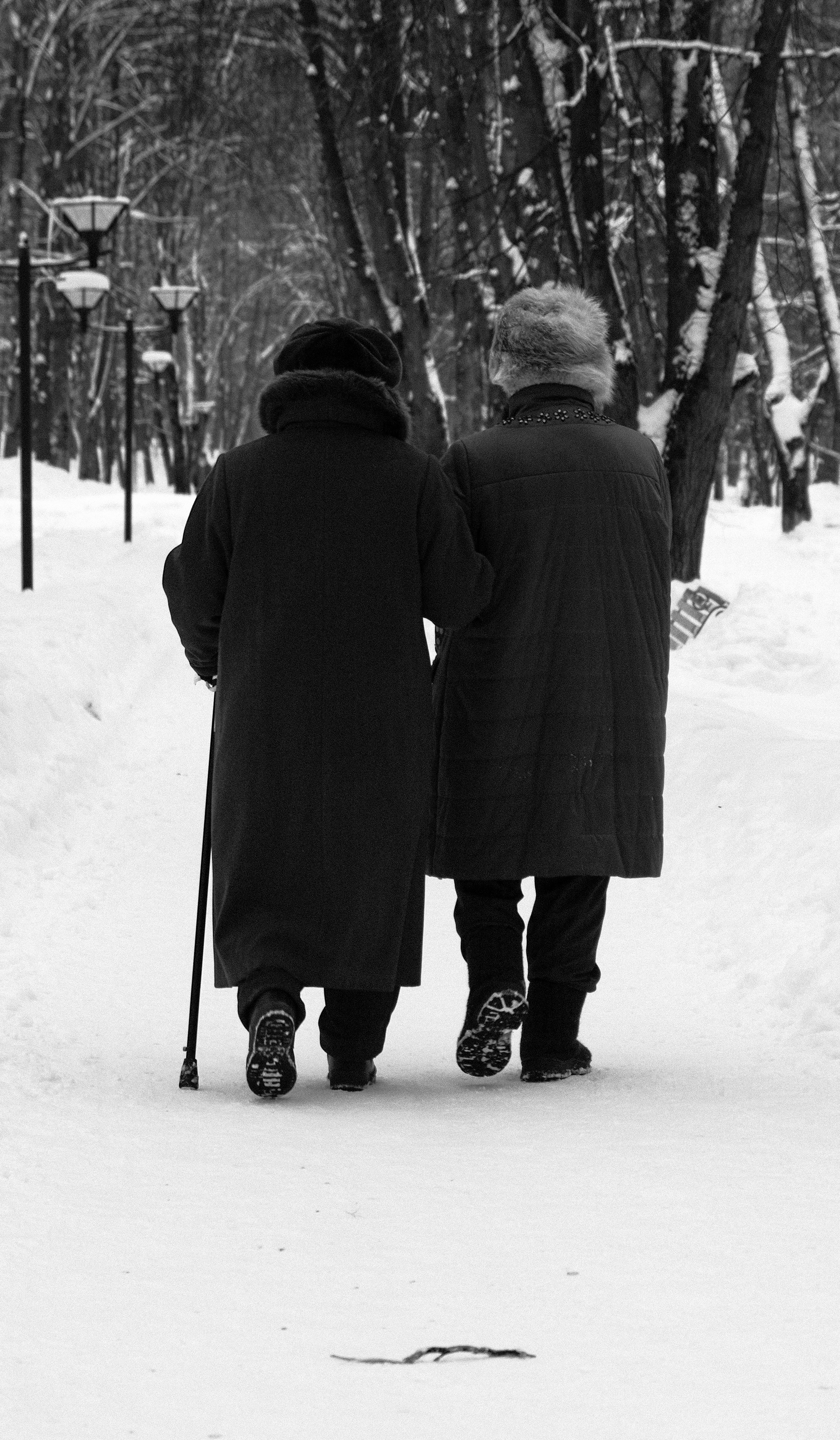 Snowbound Companions: Arm-in-Arm Through a Park’s Quiet Path