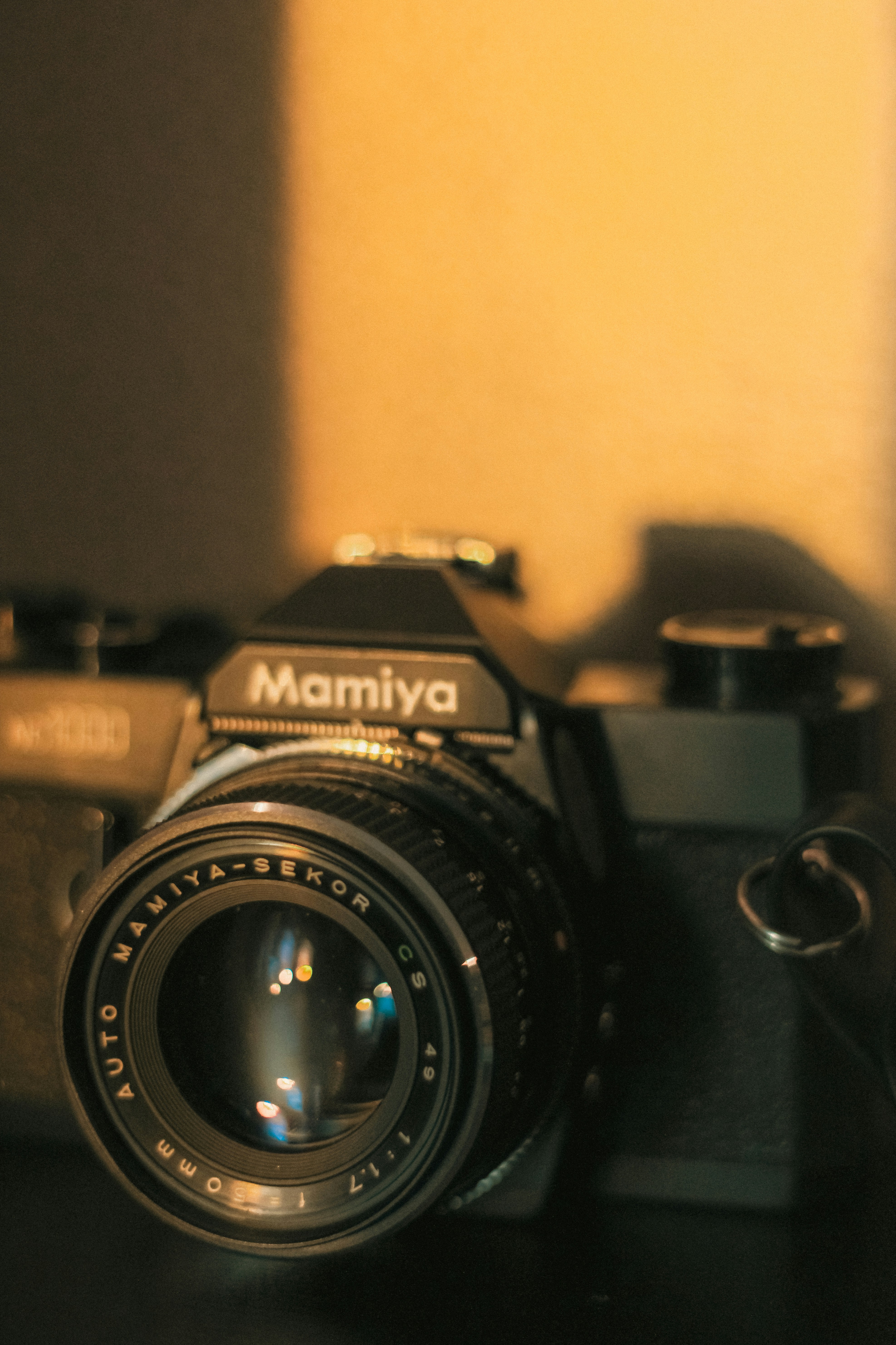 Mamiya Moments: A Classic Film Grip in Low Light