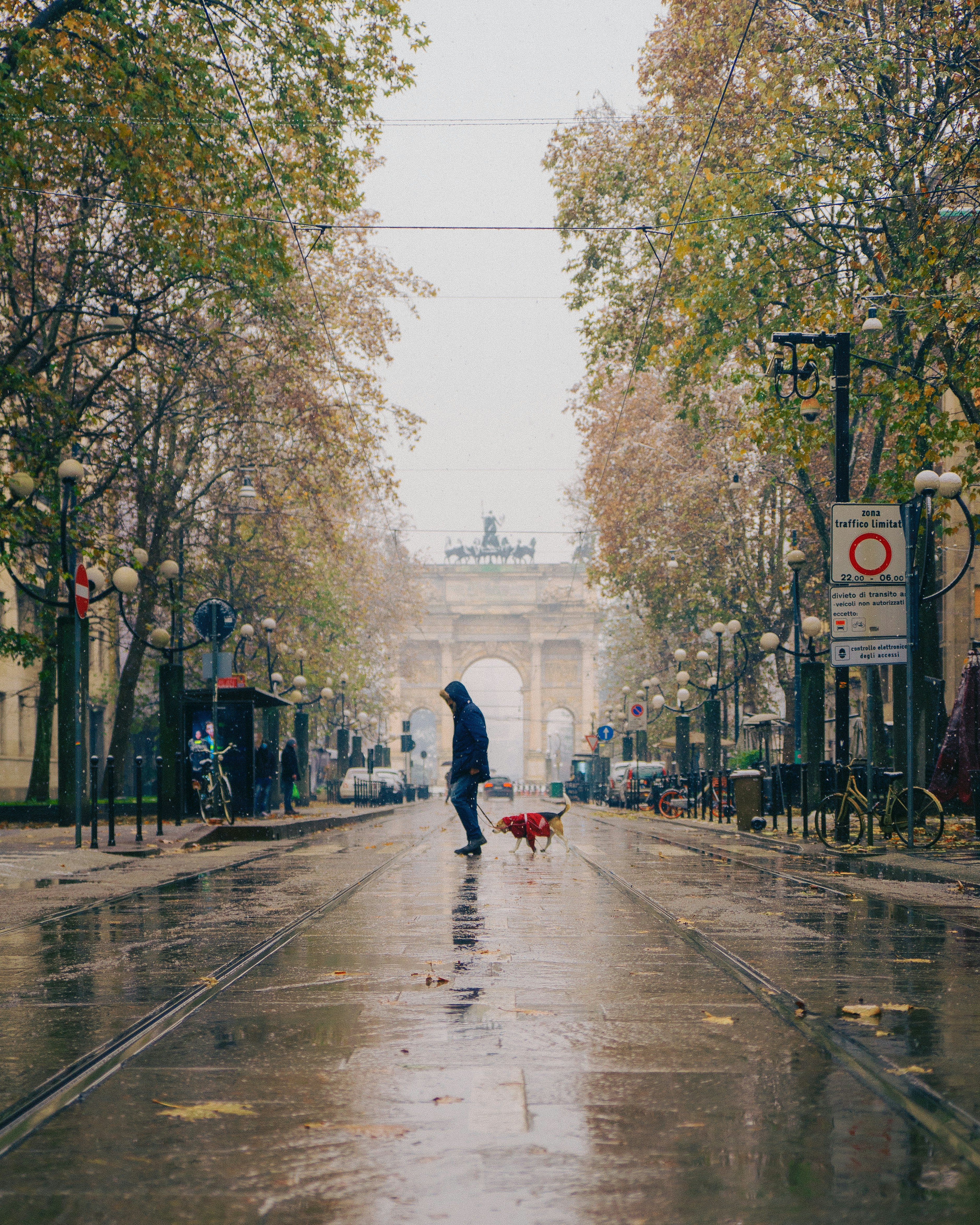 Umbrella Guardian Under the Arc: A Rainy City Moment