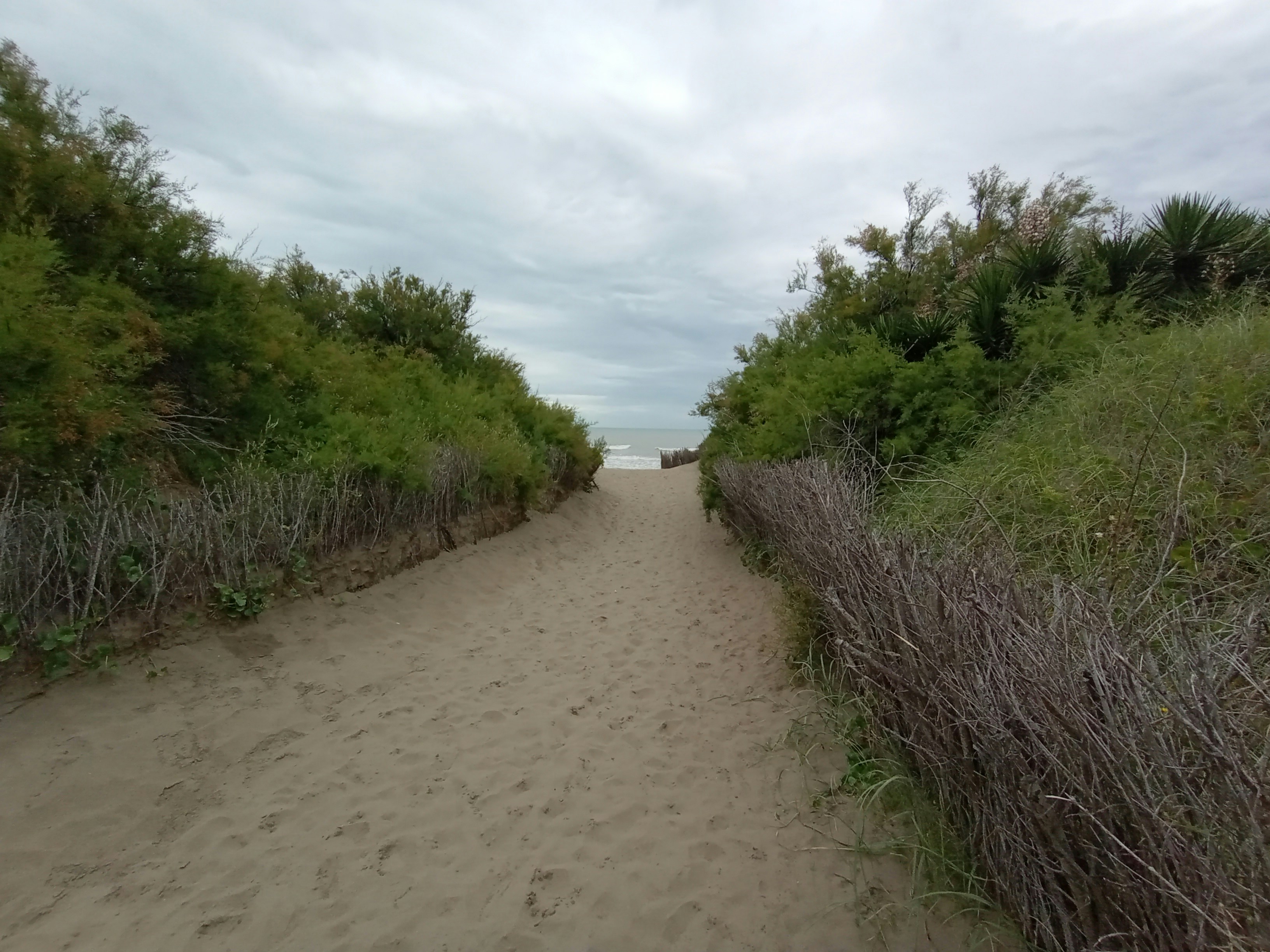 A sandy path leading to the ocean on a cloudy day photo – Free Land ...