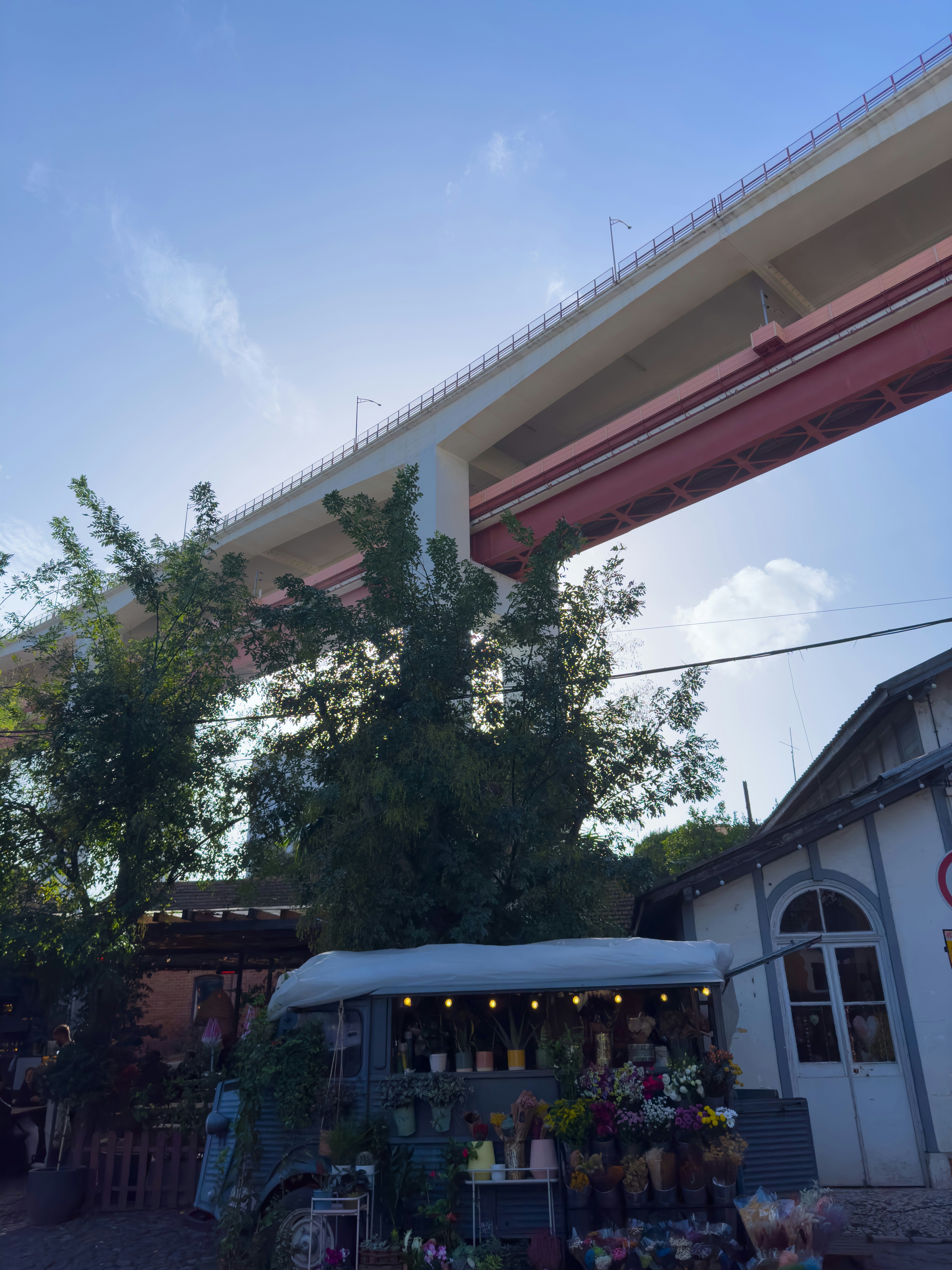 Crimson Span Over a Quiet Market: Flowers Under an Elevated Bridge
