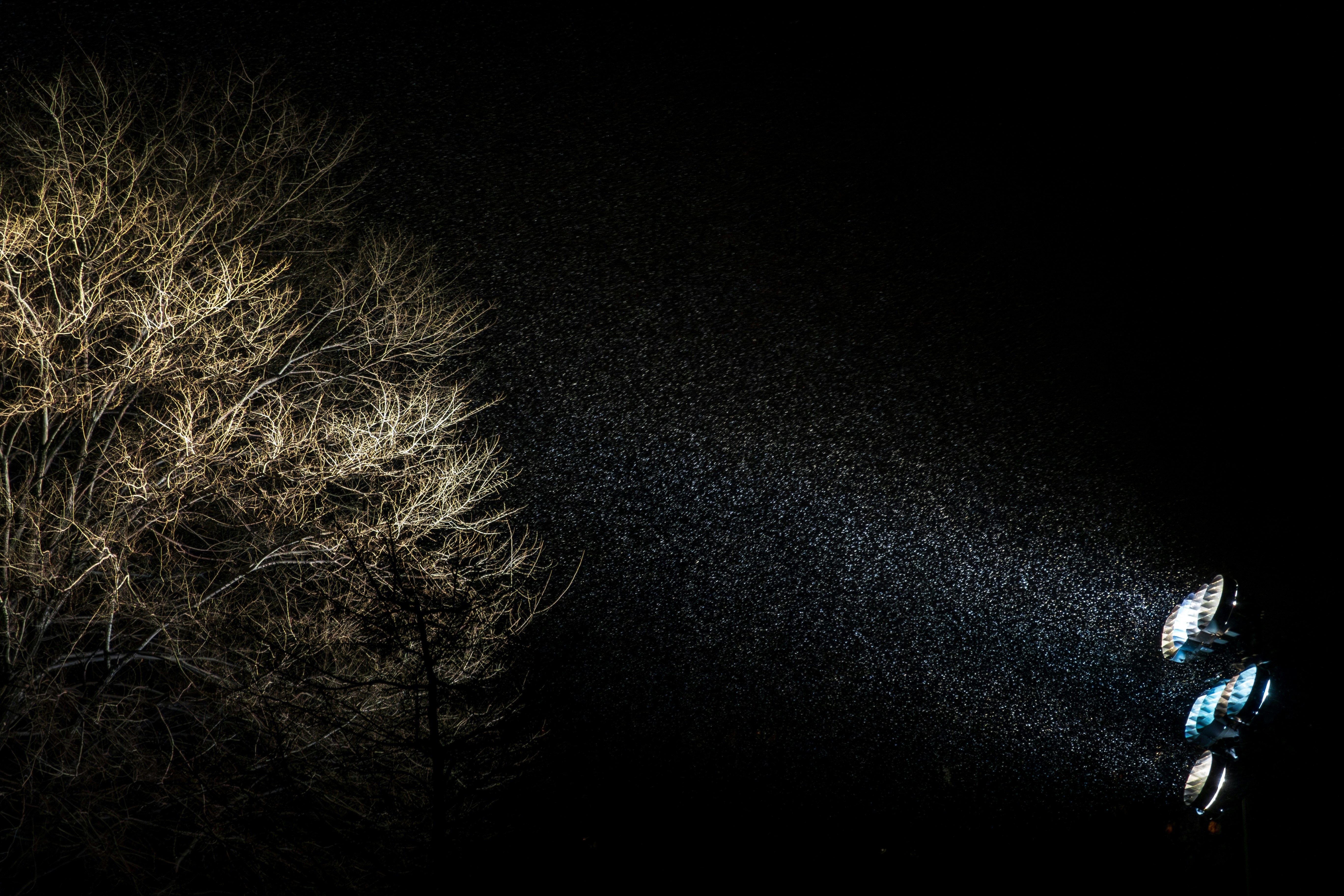 Glimmering Snow-Dust in a Headlight Corridor by a Silent Tree