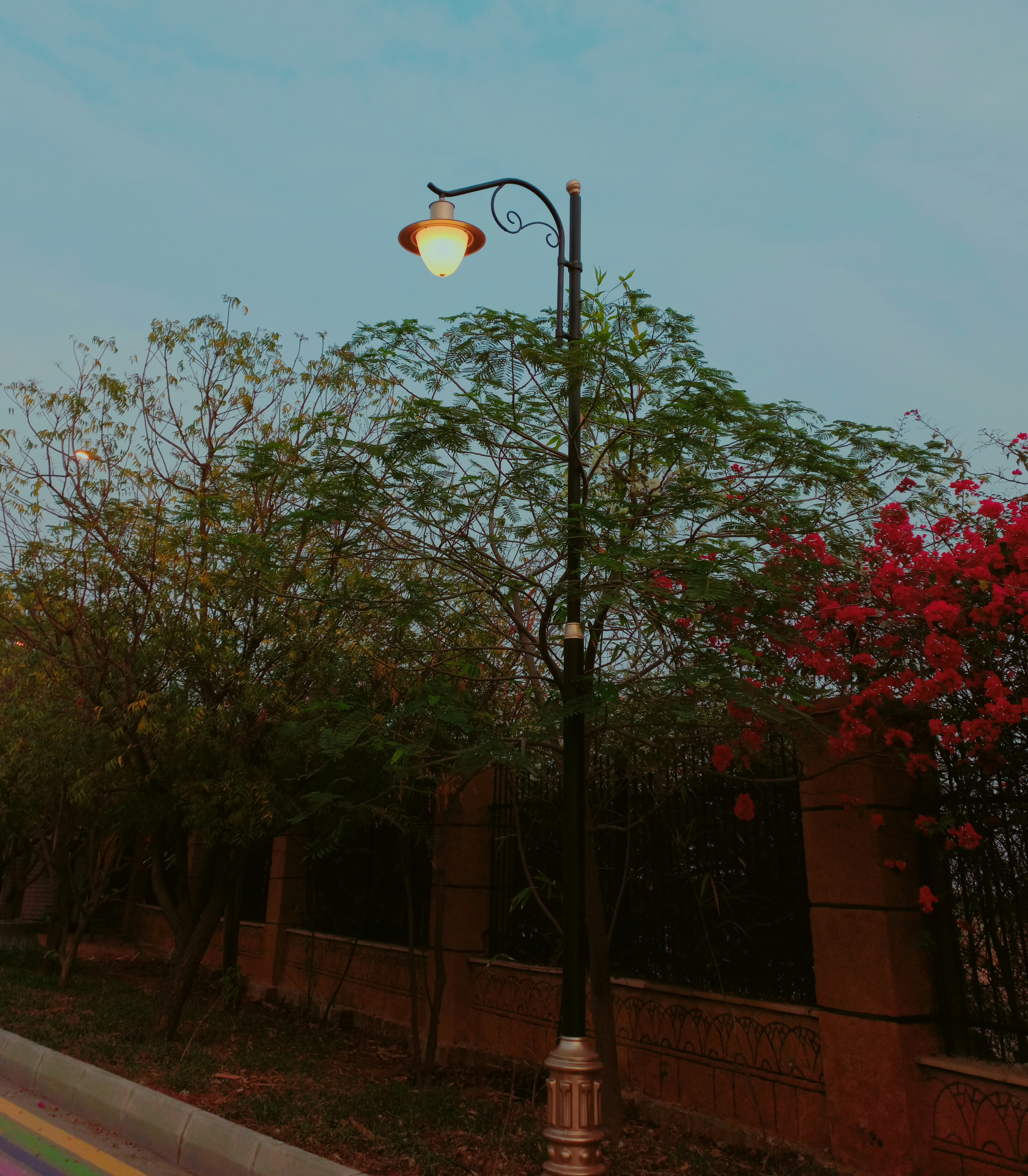 Gaslit Night: A Lone Street Lamp Amid Garden Foliage