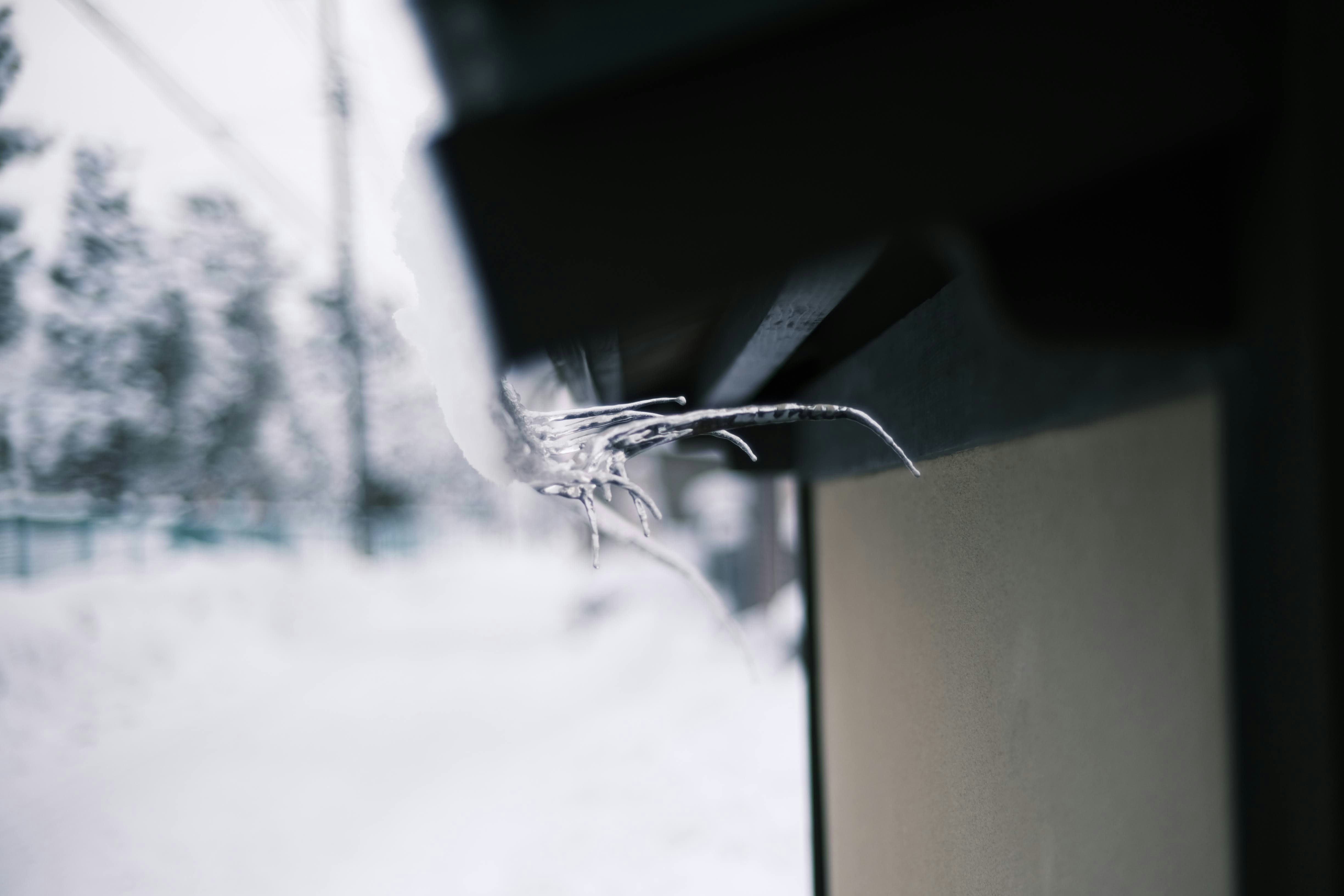 Icicle Threads on a Snowy Window Shutter