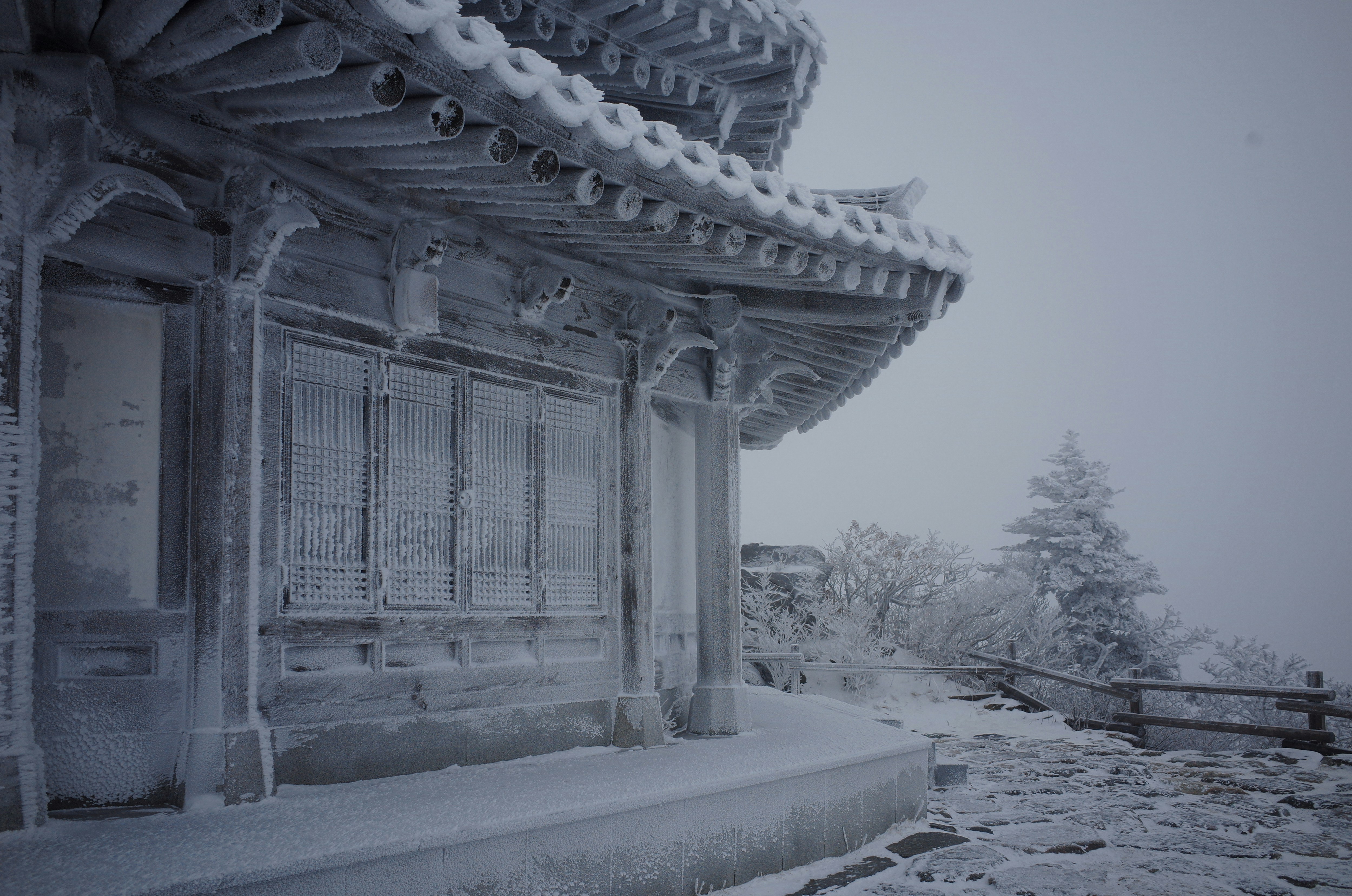 Snow-bound Shrine: a quiet corner of winter stone