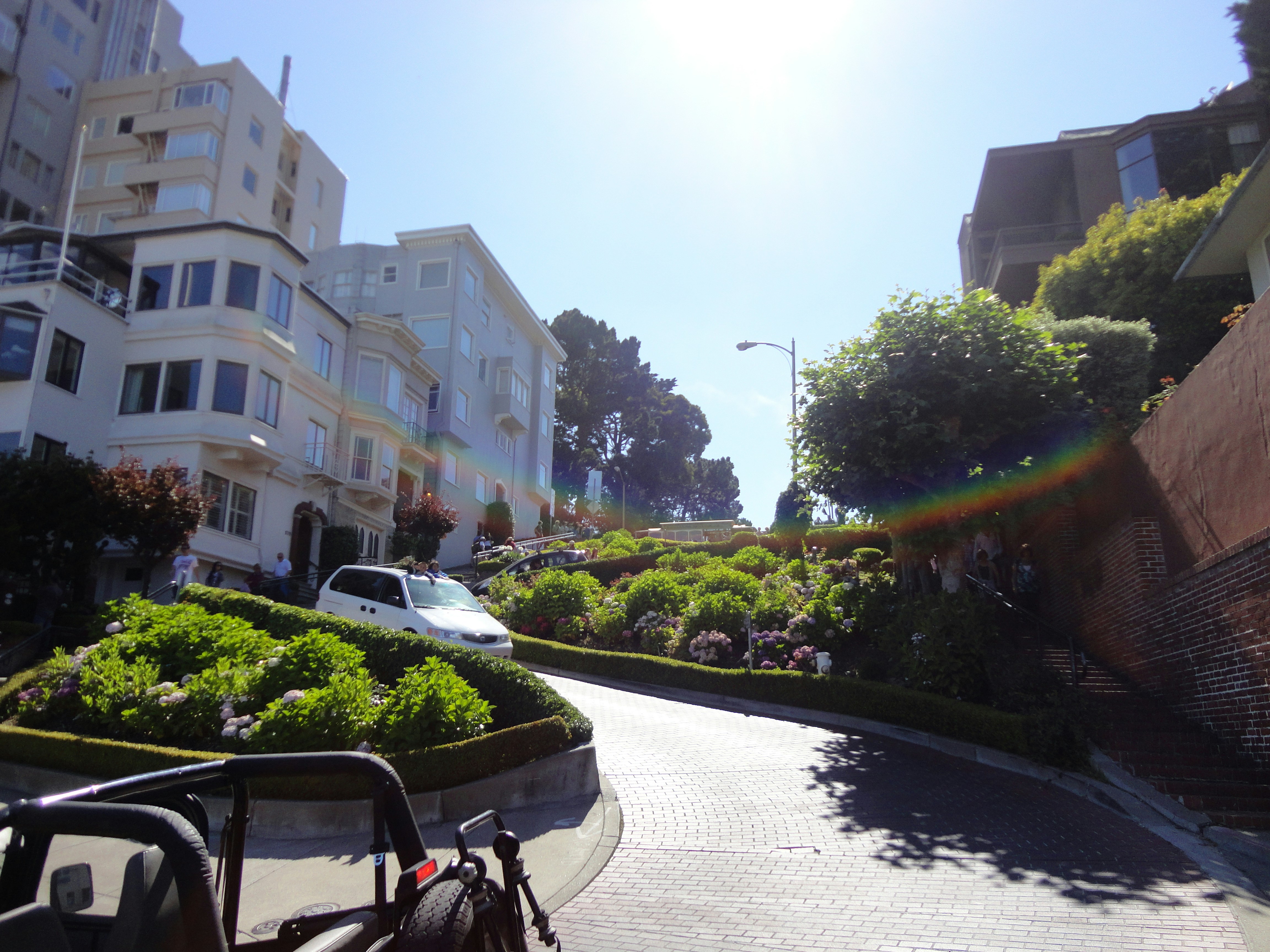 Curving roadway of Lombard Street in San Francisco framed by lush greenery and sunlit buildings.