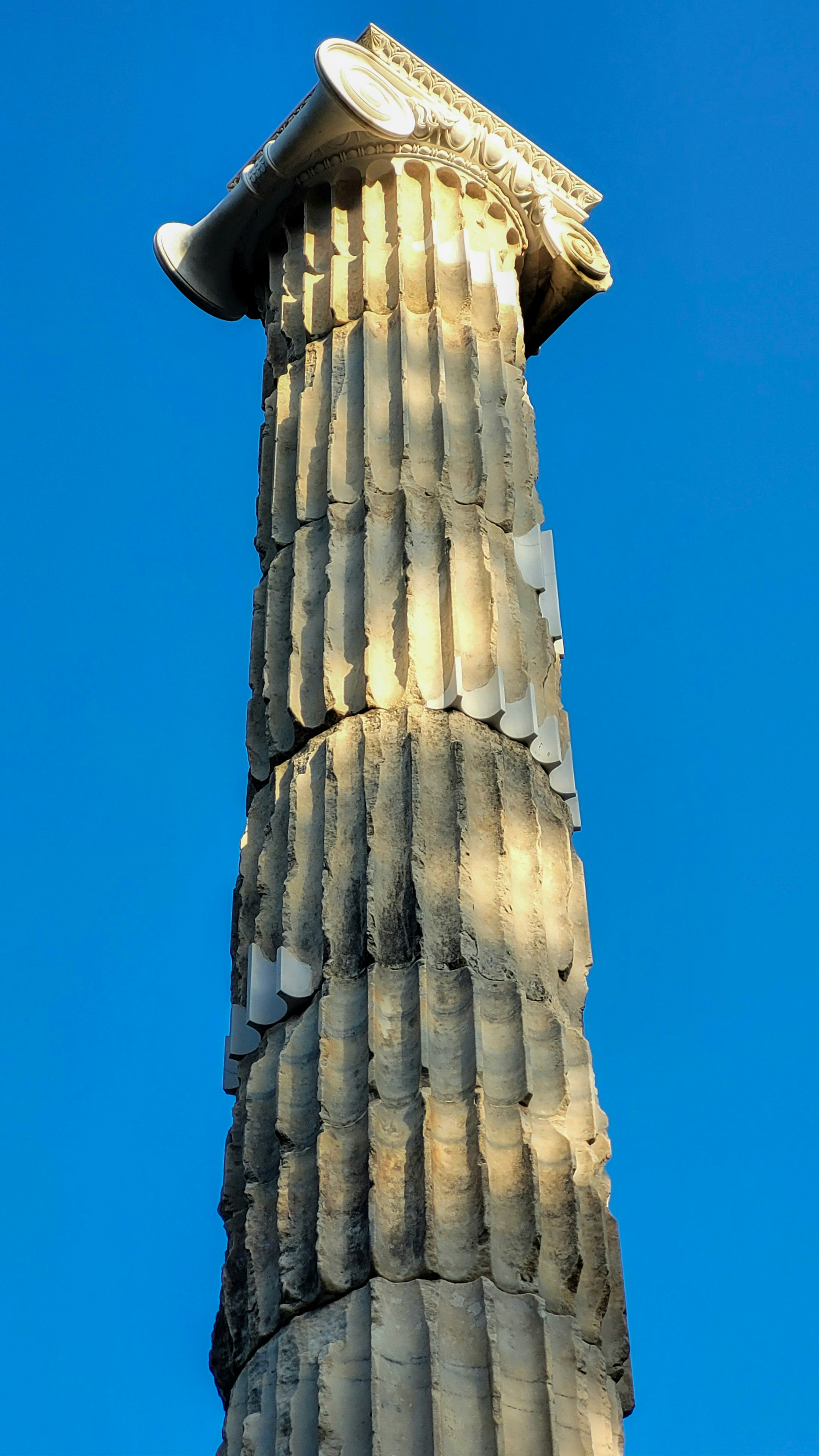 Echoes of Antiquity: The Resilient Column