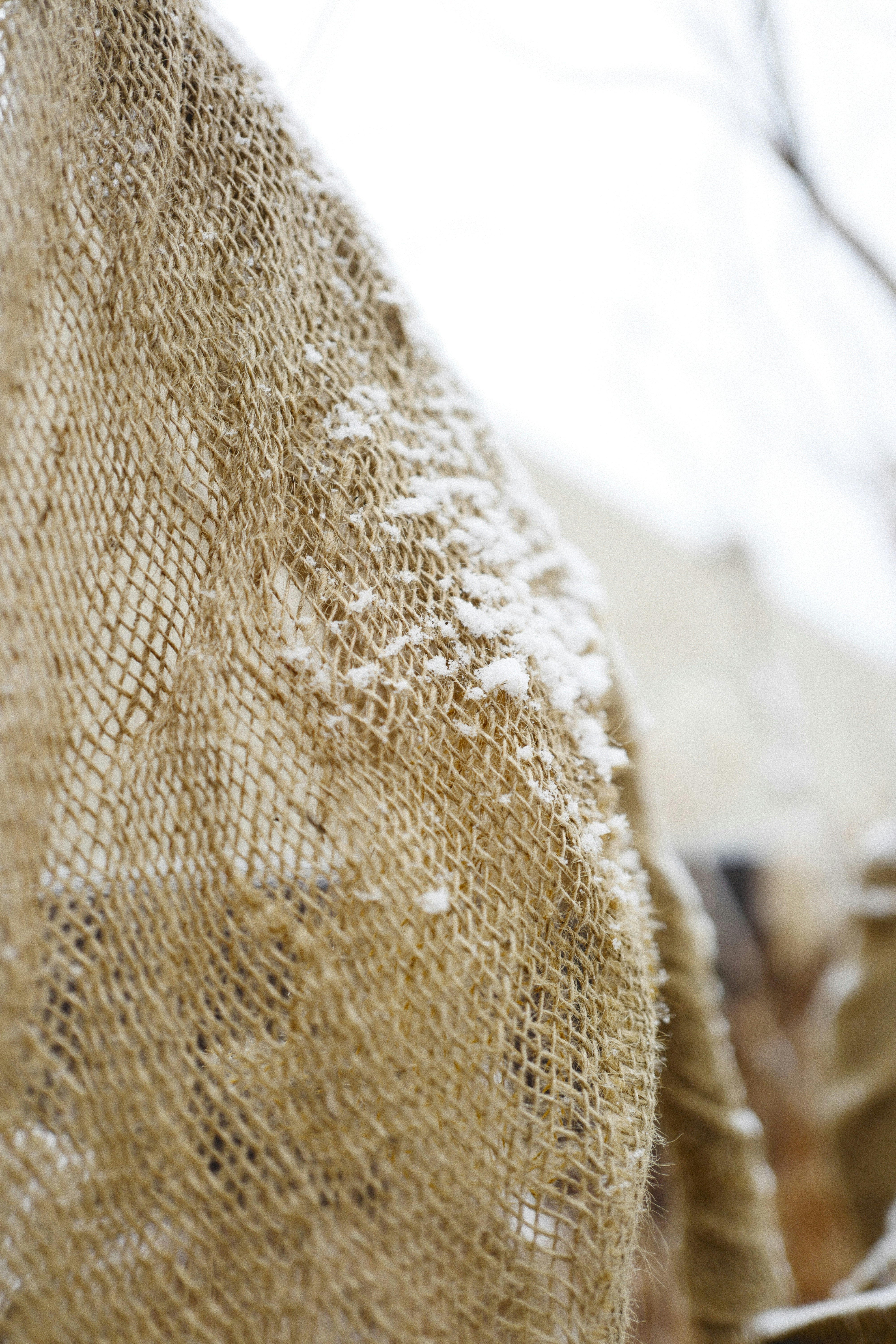 A close up of a burlock of burlock of burlock photo – Free 20 gangnam ...