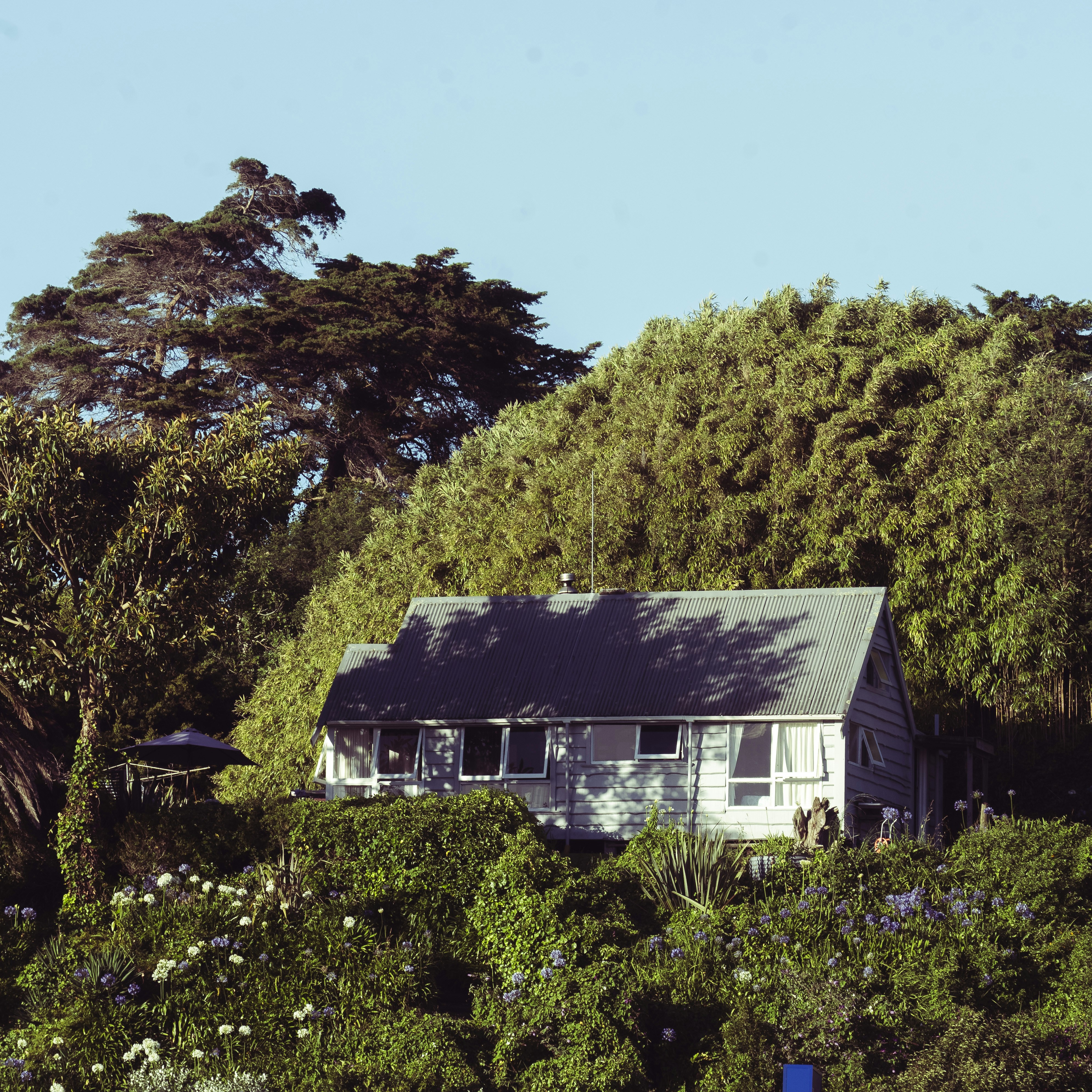 Photo by Mario Amé with Sony Alpha 7C