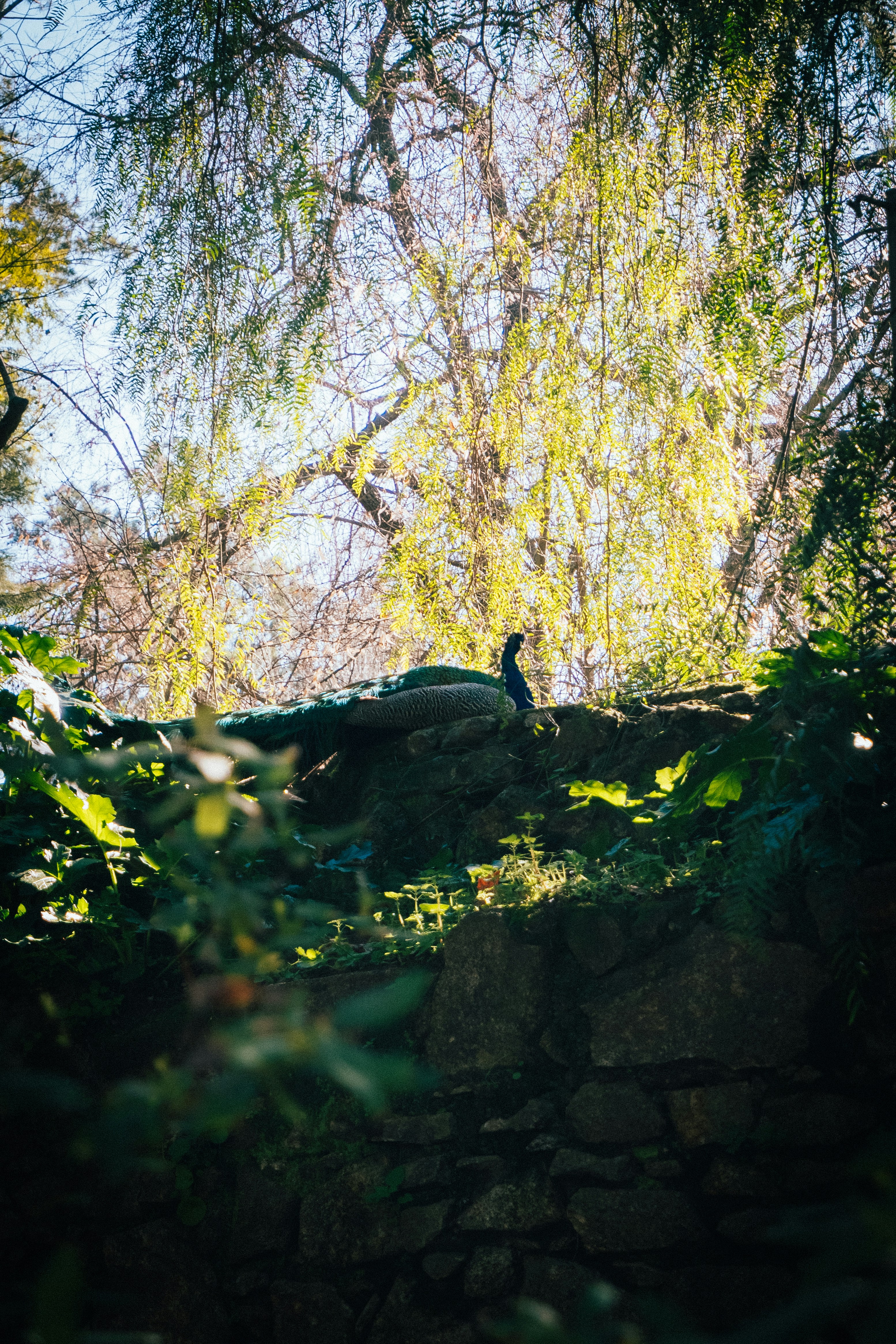 Photo by Edgar with Fujifilm X-T100