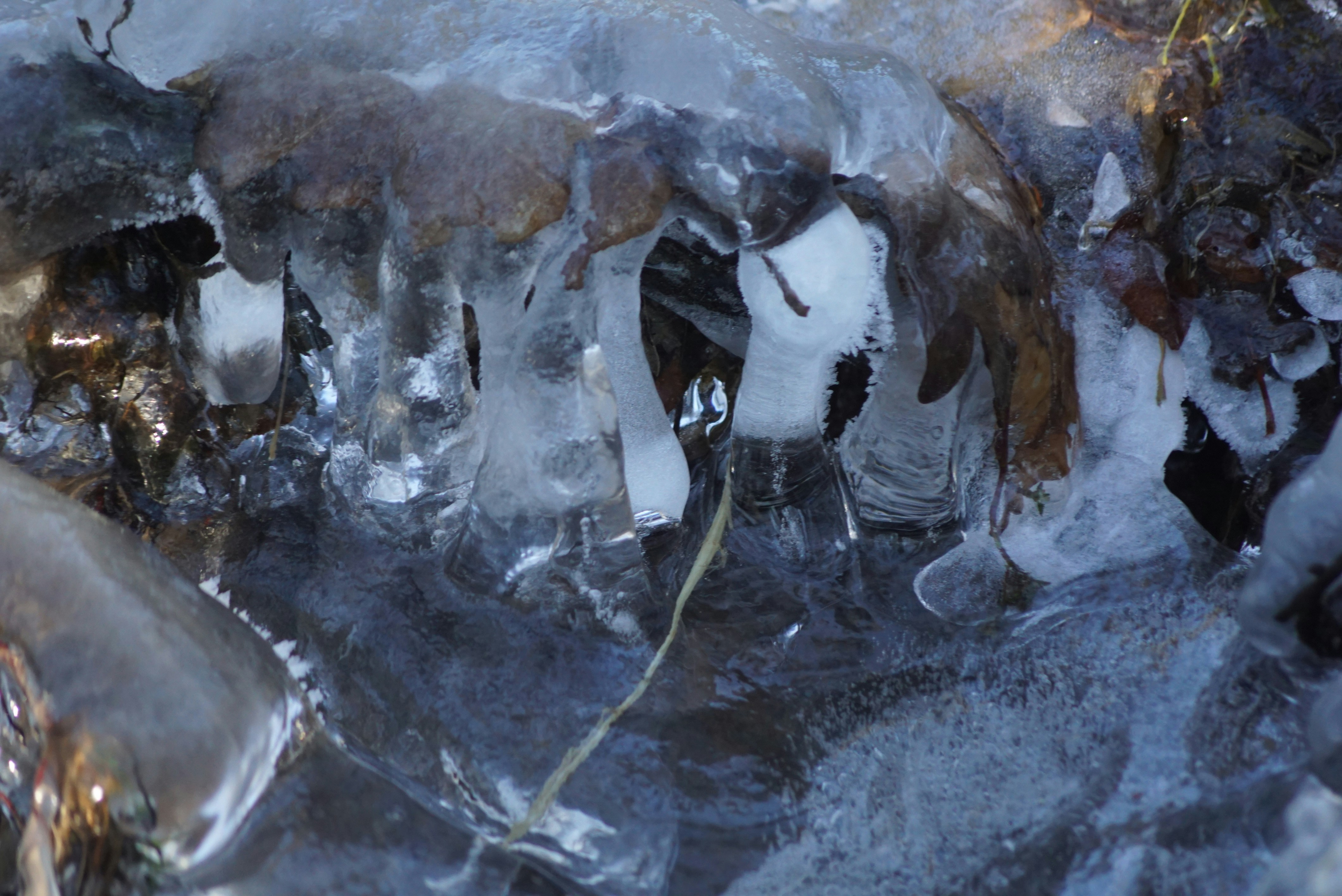 Natürliche Eiskreationen im kleinen Waldbach
