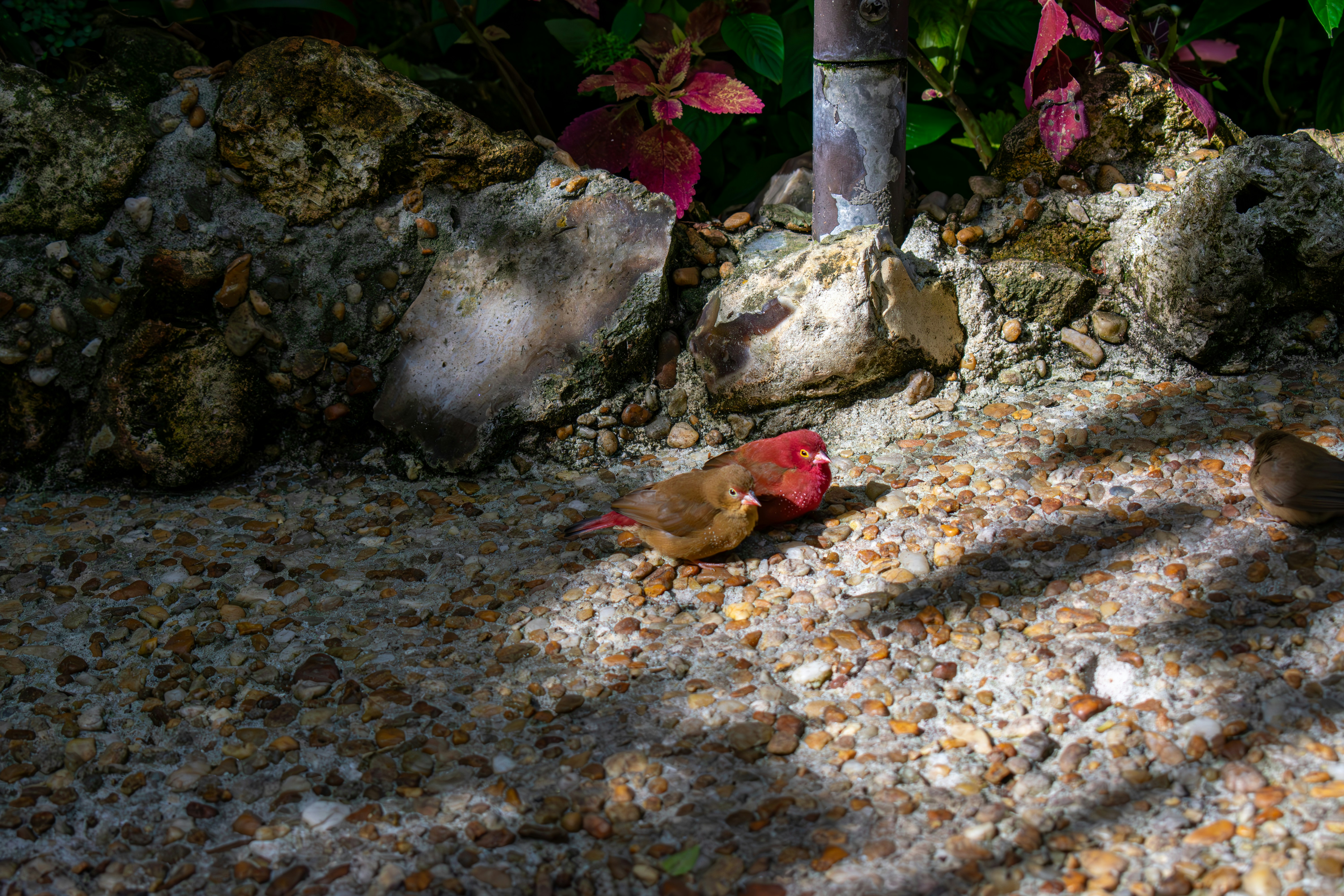 Photo by Chelsey Marques with Nikon D3400