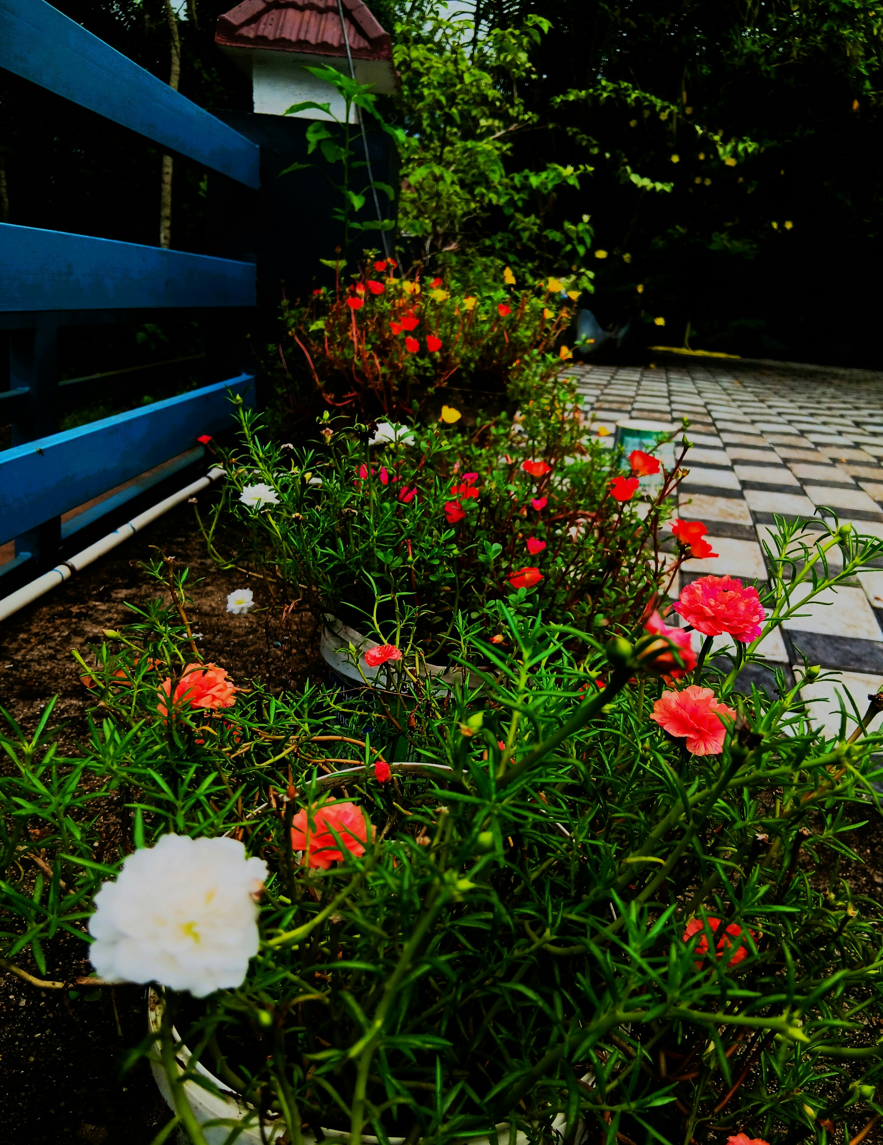 Samsung Galaxy A14 5G Sample Shots