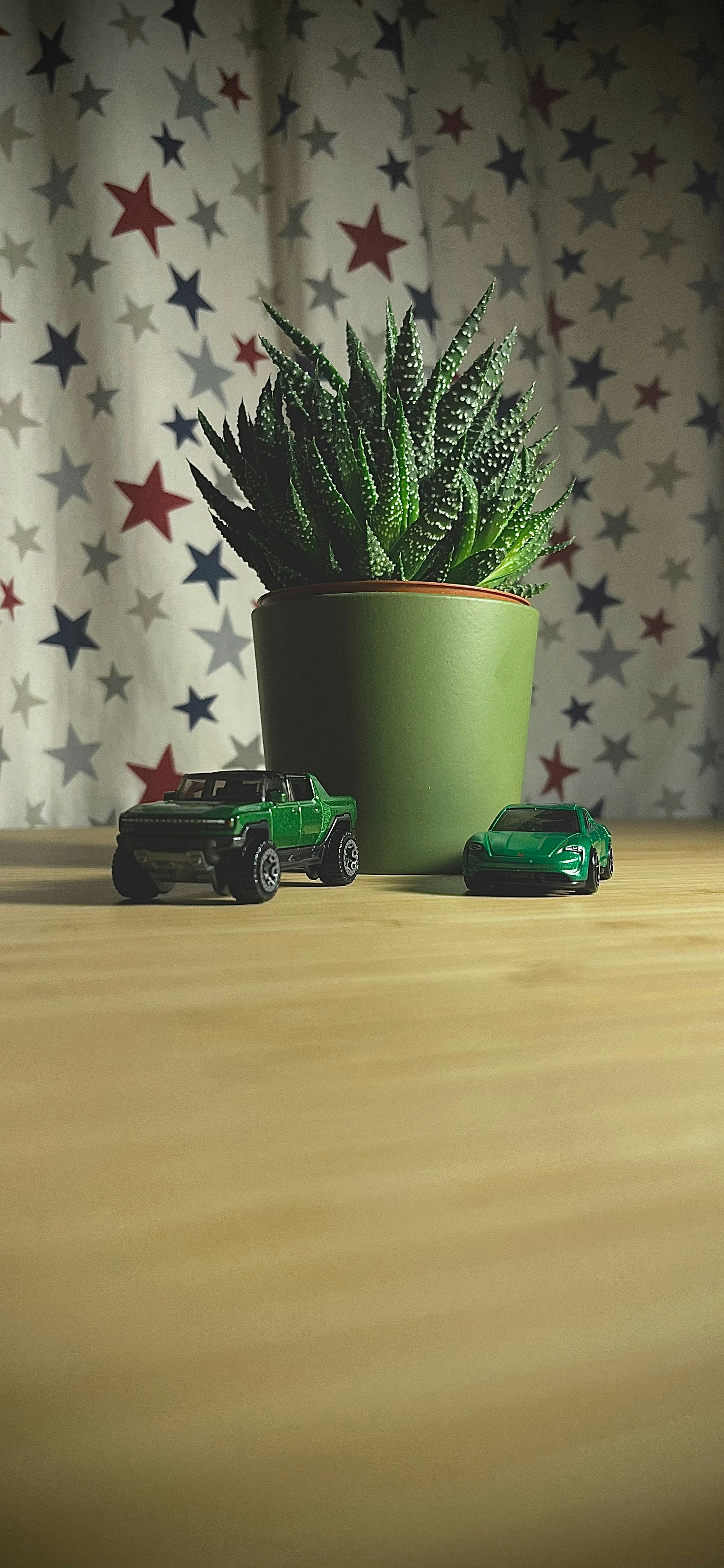 Verdant Centerpiece and Mini Motors: A Green Plant with Toy Cars on a Sunlit Desk