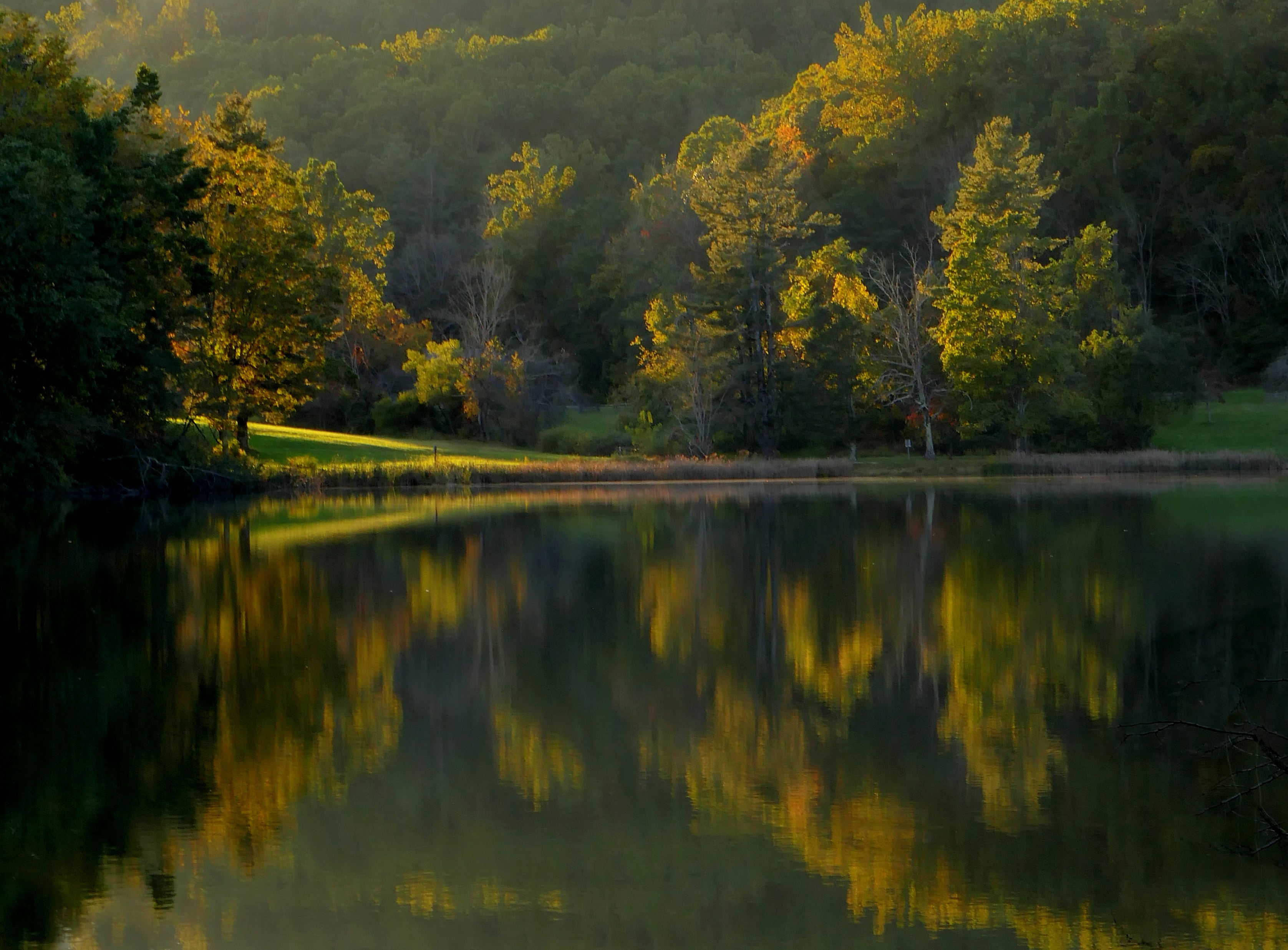Autumn trees bathed in late afternoon light reflected on a calm lake surface.