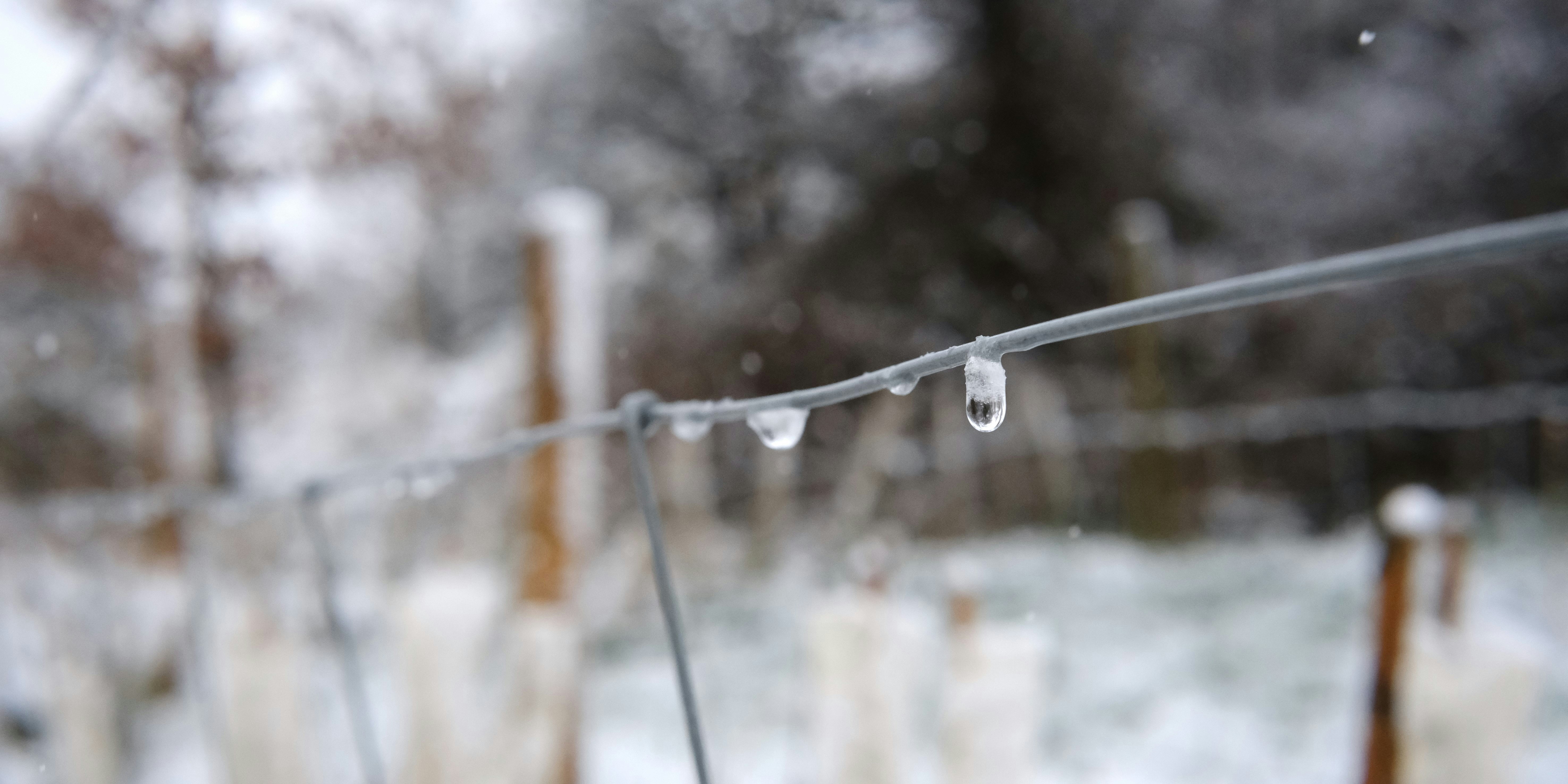 Please enjoy this wintery picture captured on a snowy day near Dalton Bank Nature Reserve, UK. Photographed with a Fujifilm X-T3. For all enquiries, please contact me via Unsplash and I will endeavour to reply as soon as possible. Have a great day! [Rory Tucker / The Yorkshire Photographer]