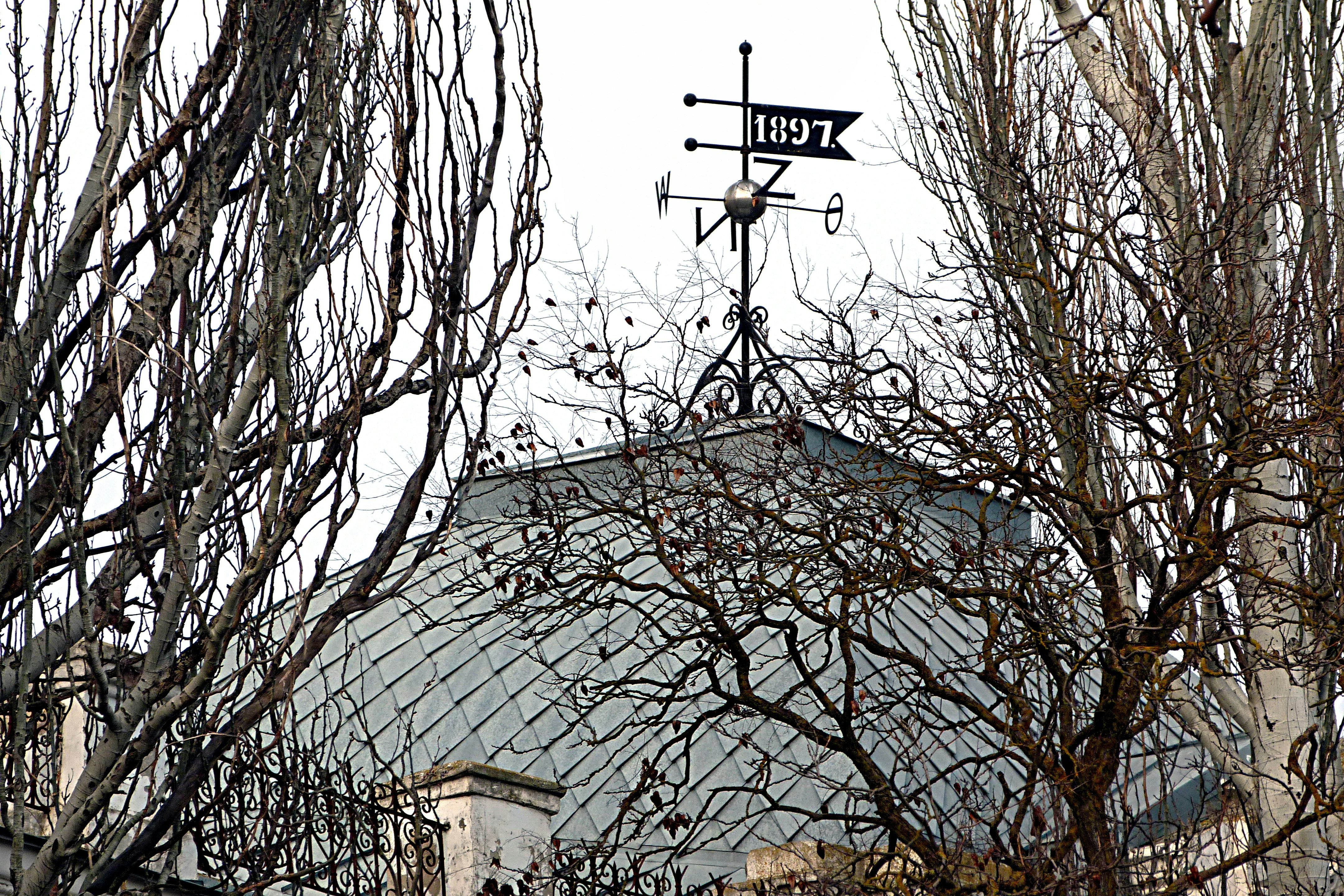 A weather vane on top of a building next to trees photo – Free Building ...