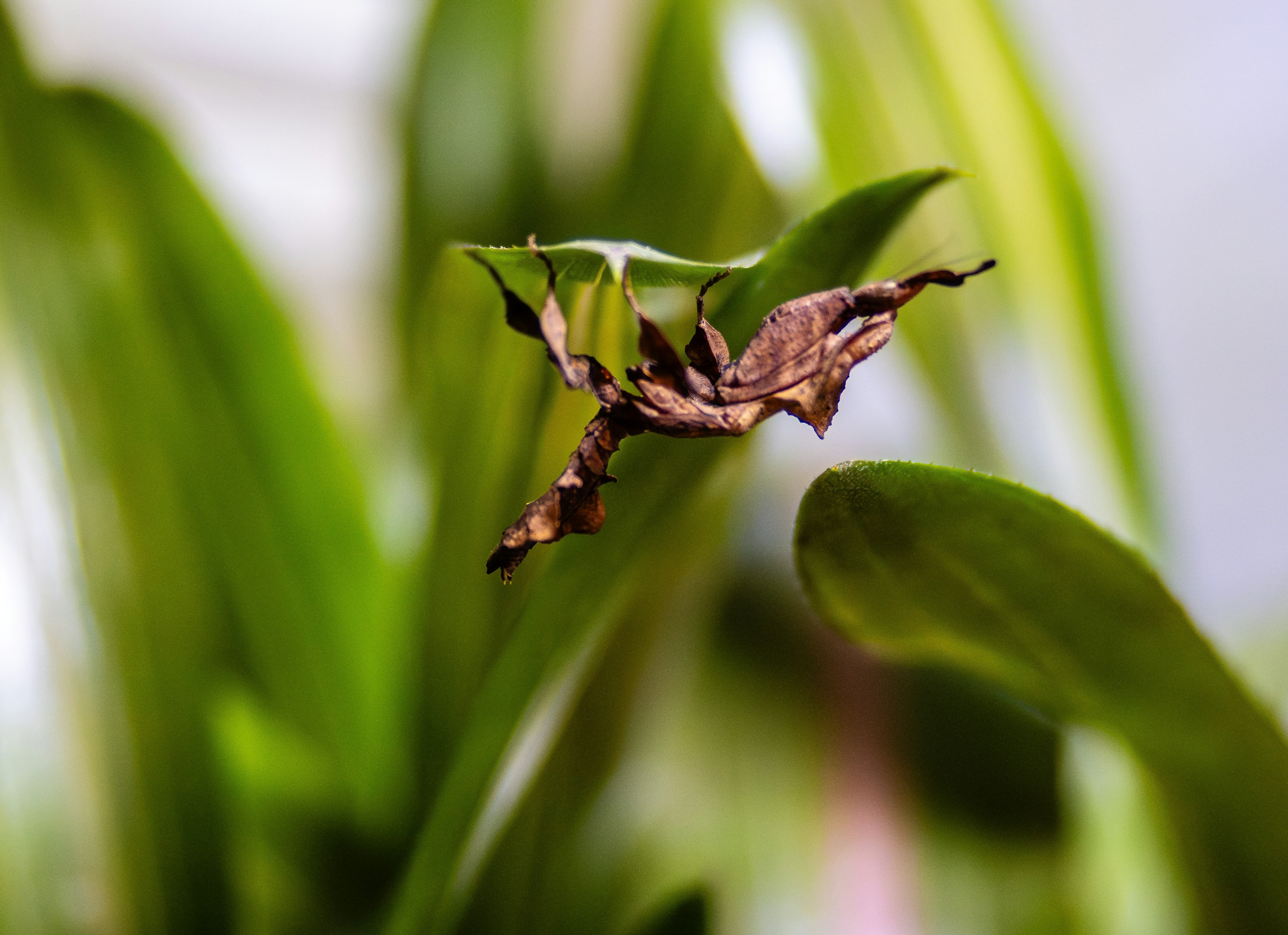 Daniel Crabb (@pompadare) | Komunitas Foto Unsplash