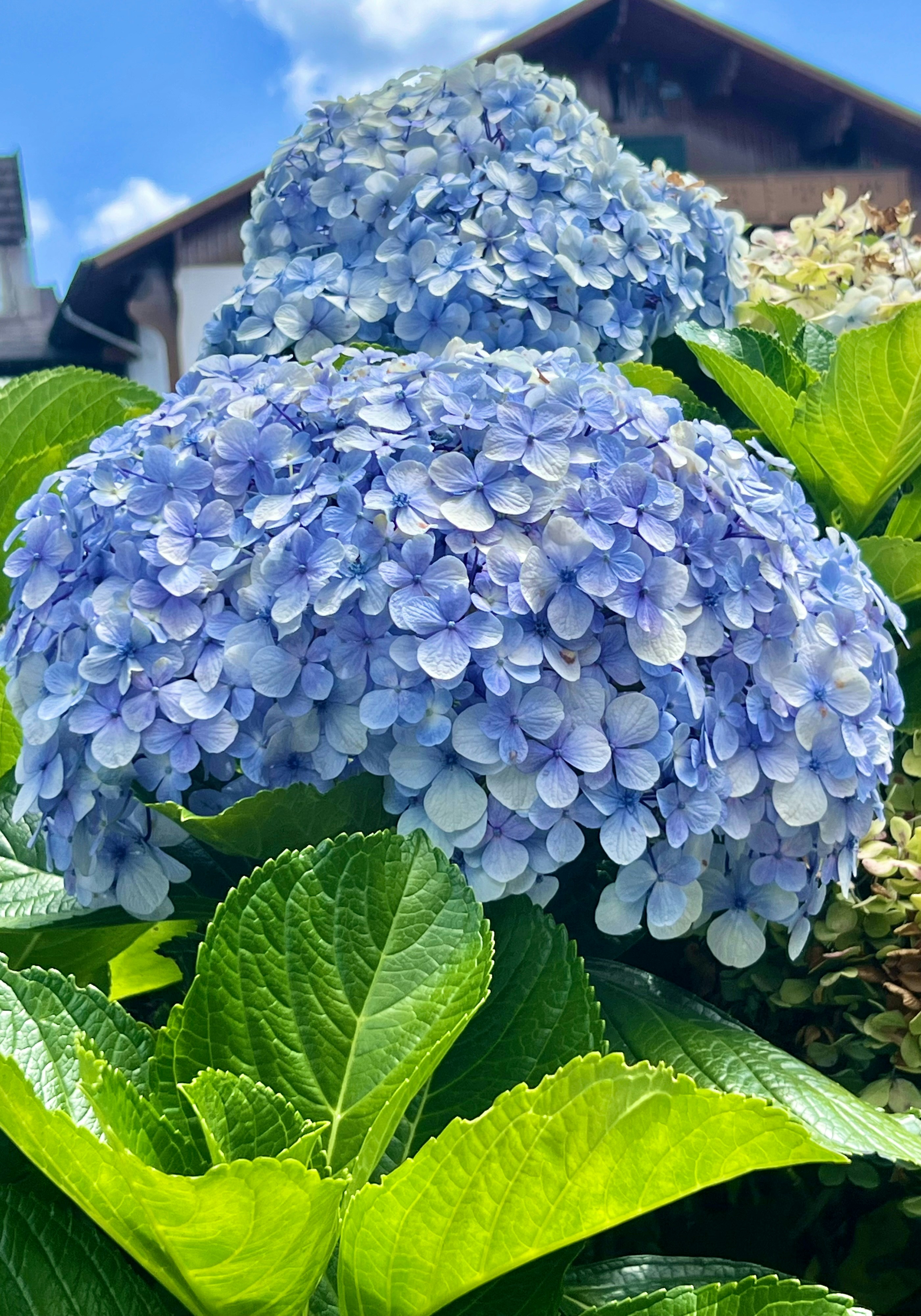 Photo by Bia Monteiro with Apple iPhone 13 Pro Max