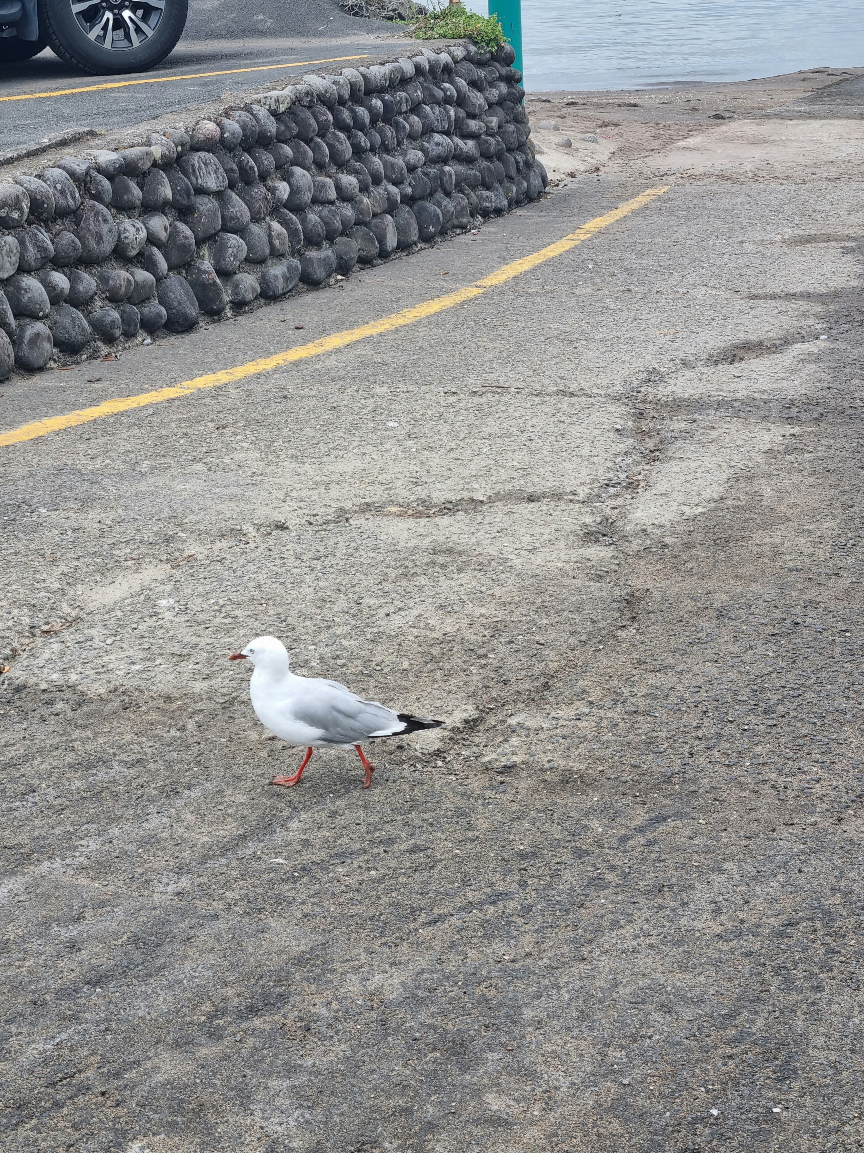 Photo by A P with Samsung Galaxy S21