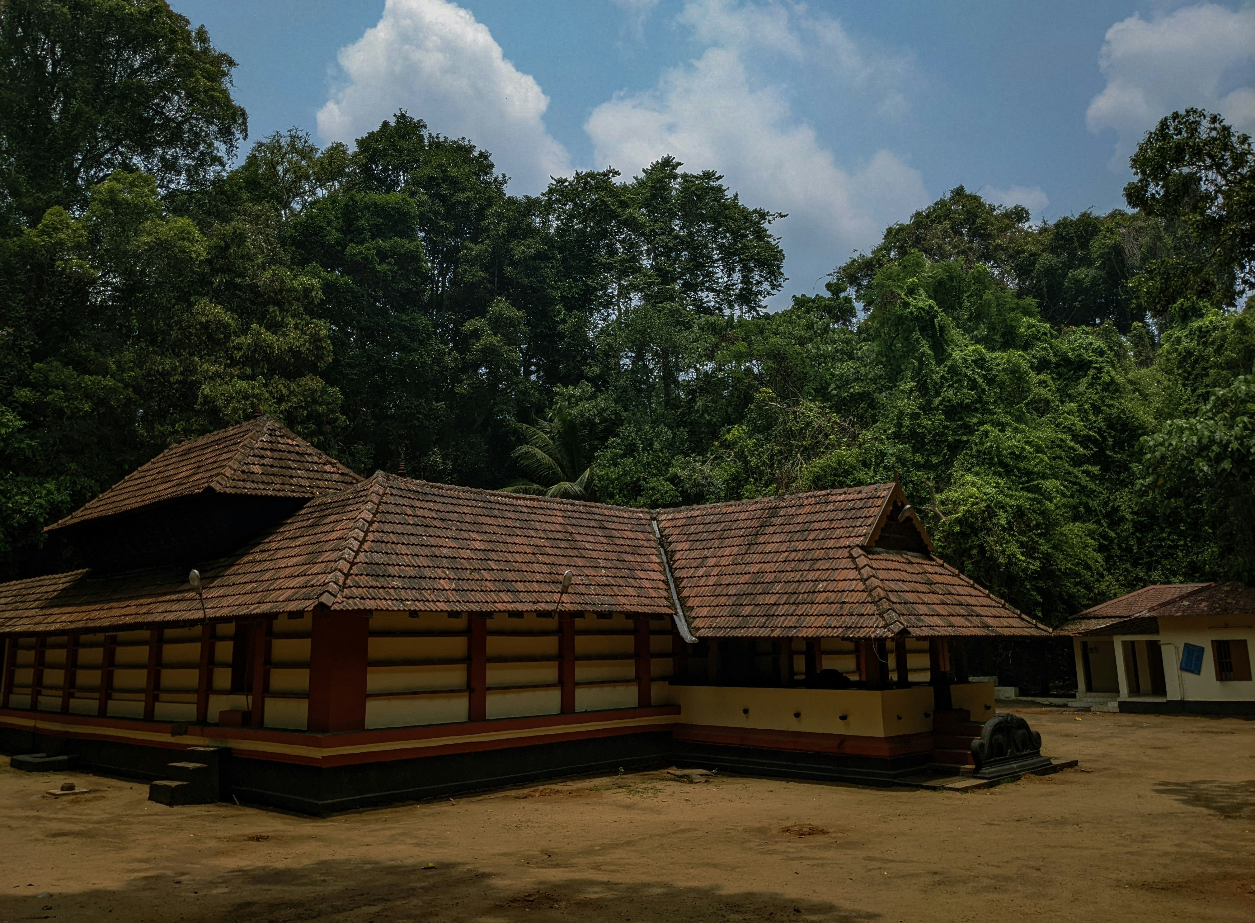 Photo by Vishnu vs with Google Pixel 4a