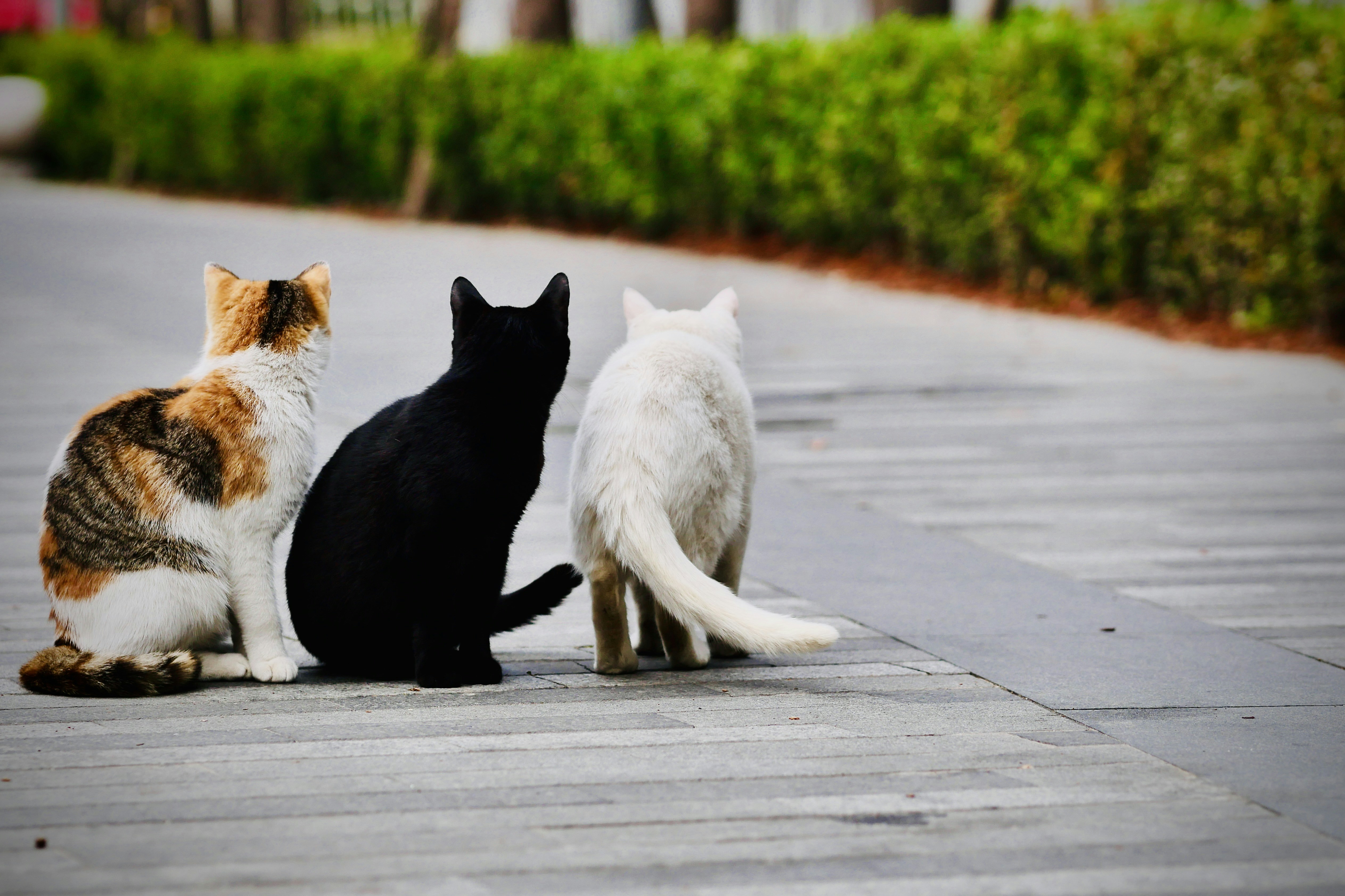 Photo by Halogen Condense with Panasonic Lumix GX9