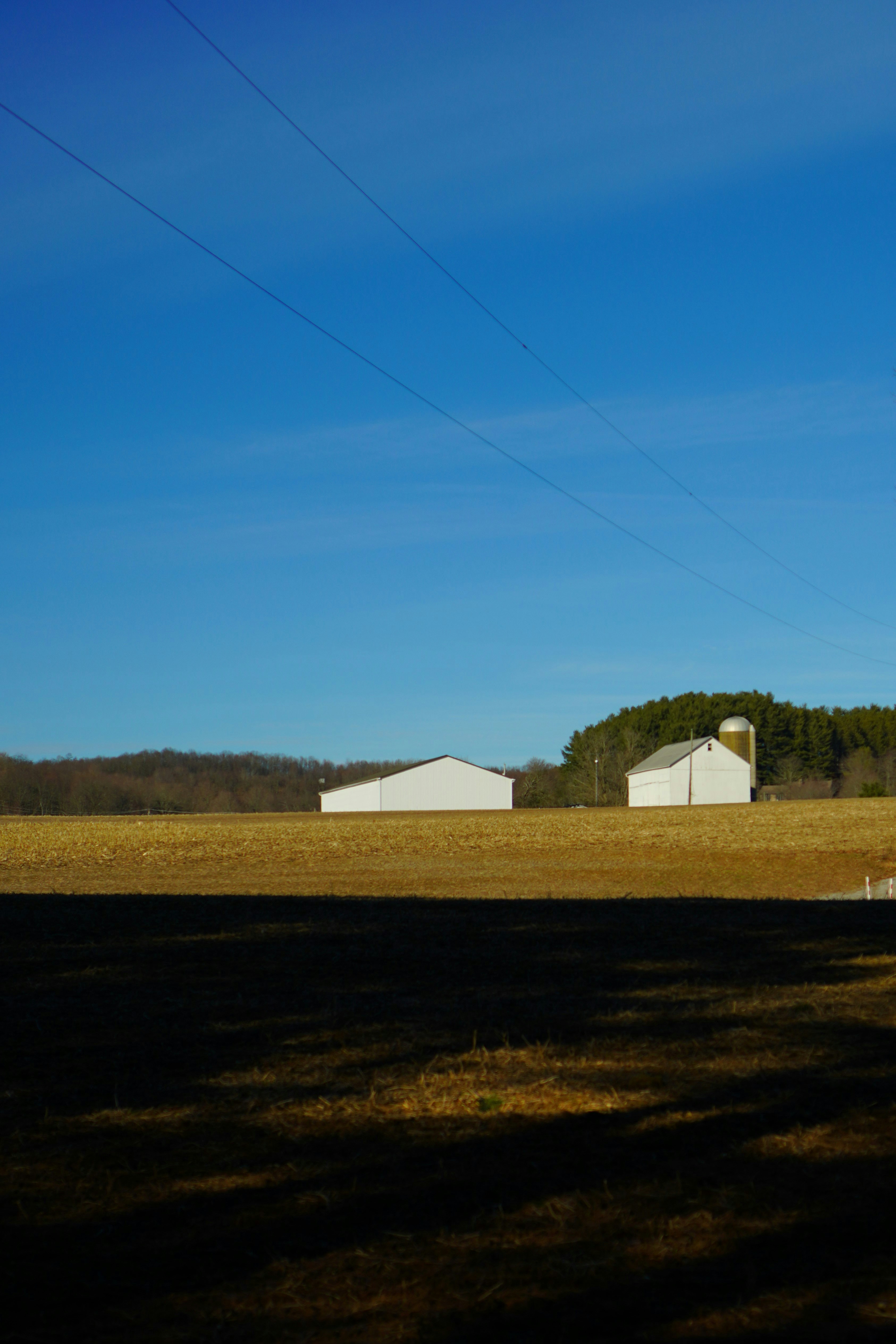 Azure Quiet: Two White Barns on the Horizon Beneath Diagonal Power Lines