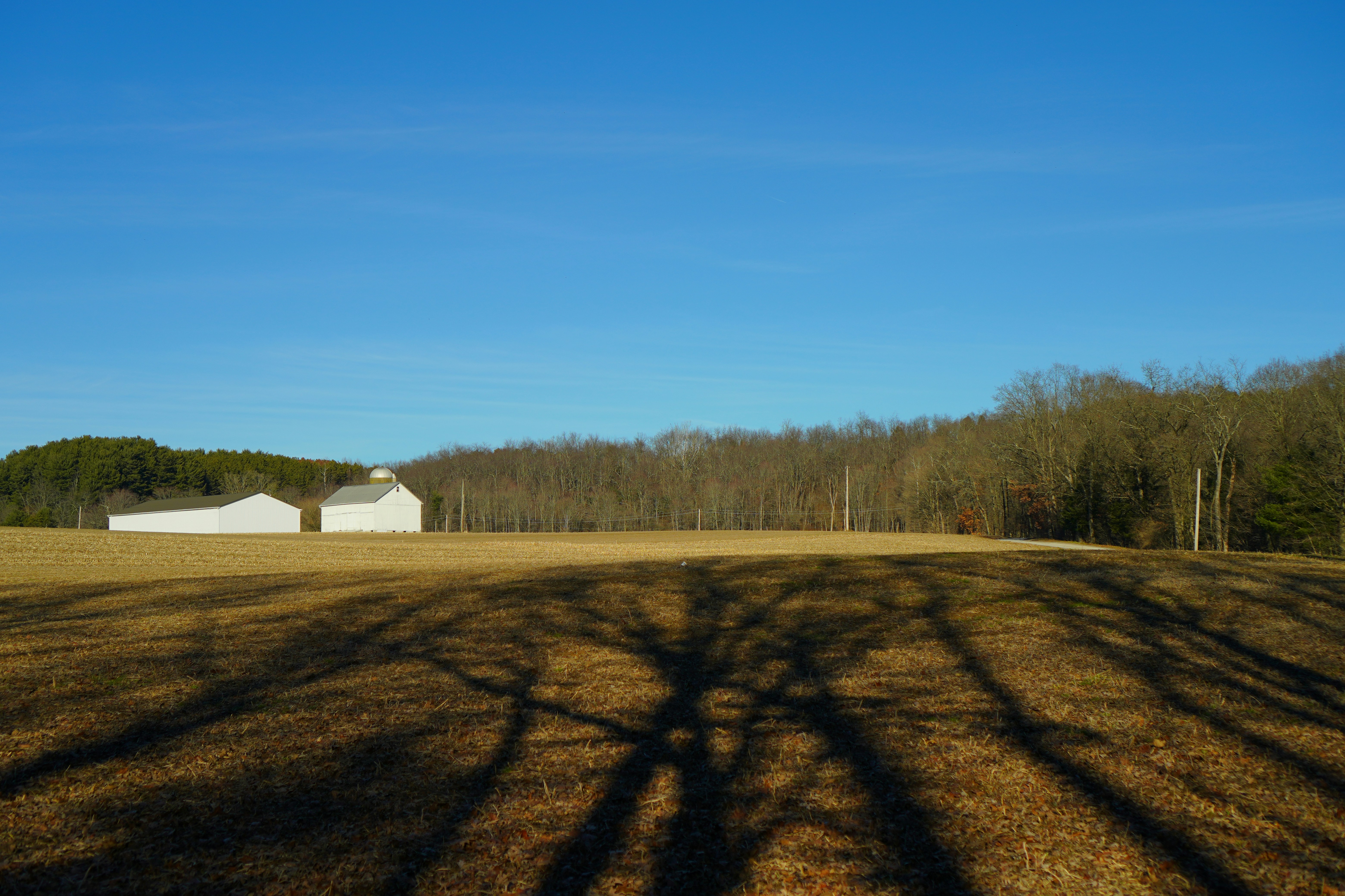 Lattice Shadows Across a Quiet Field Toward White Farm Buildings