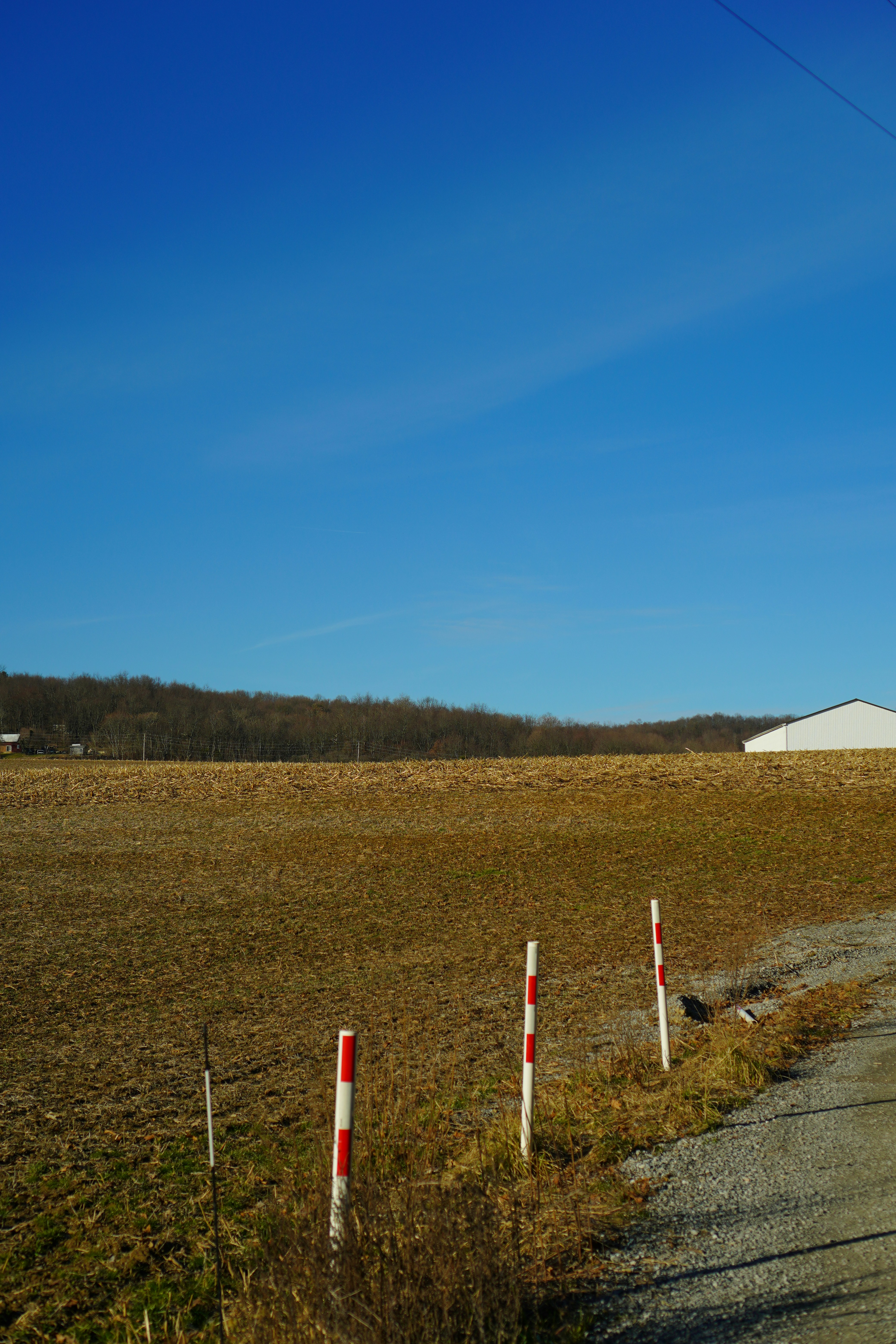 Direct output from A7R4A