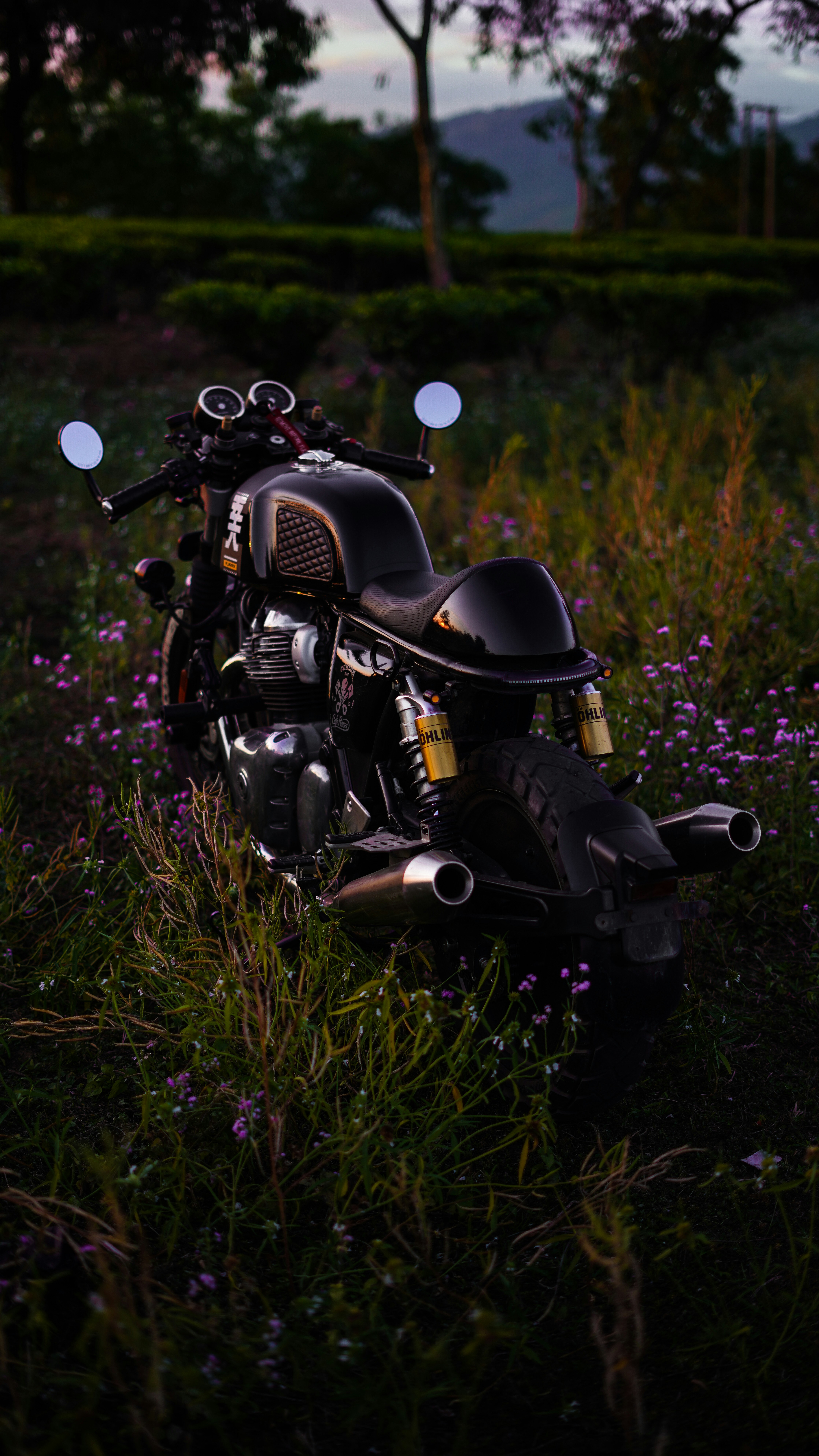 Midnight Café Racer Amid Violet Wildflowers