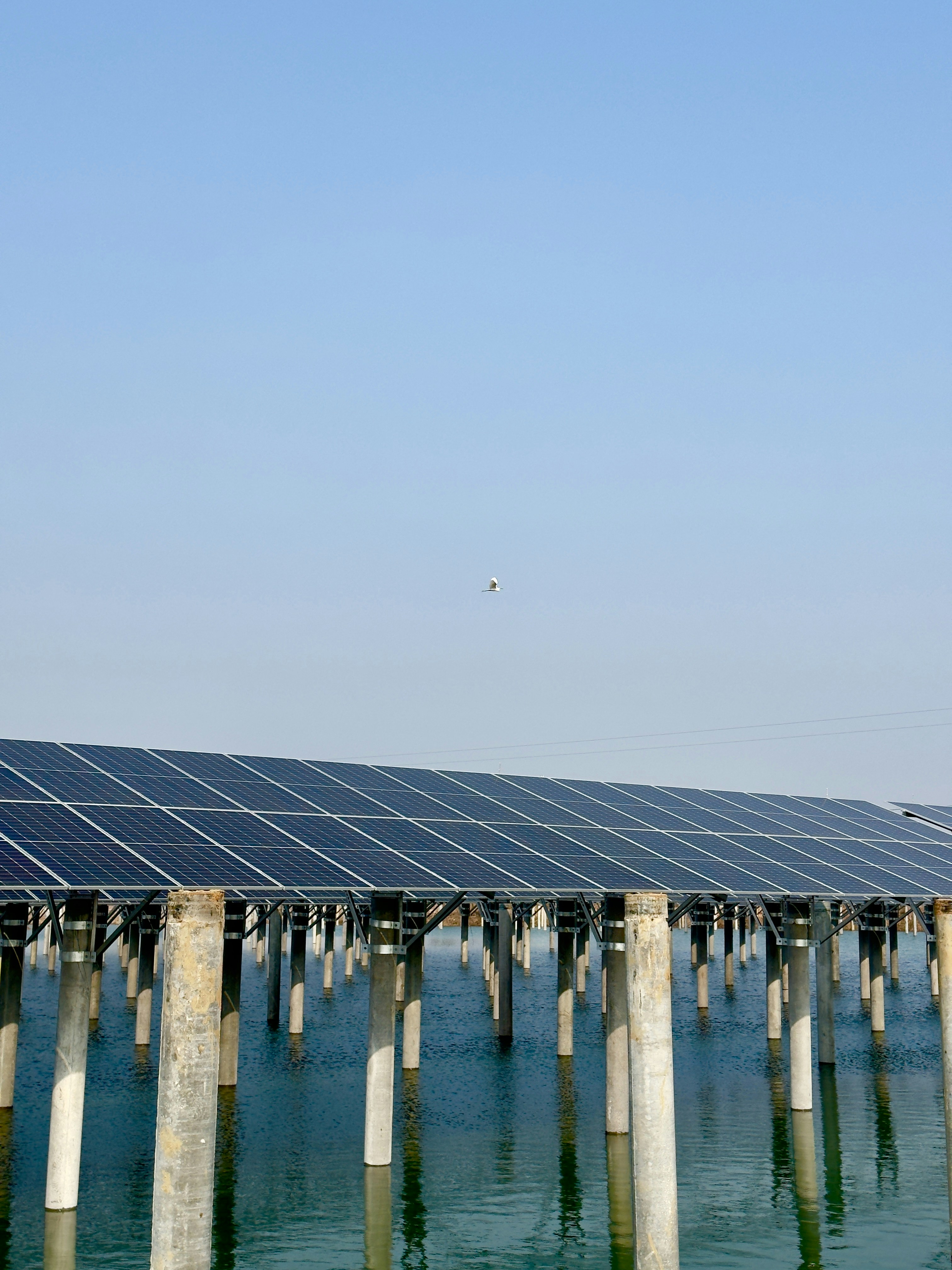 Solar Grid over Calm Waters: Panels on Stilts Beneath a Clear Sky