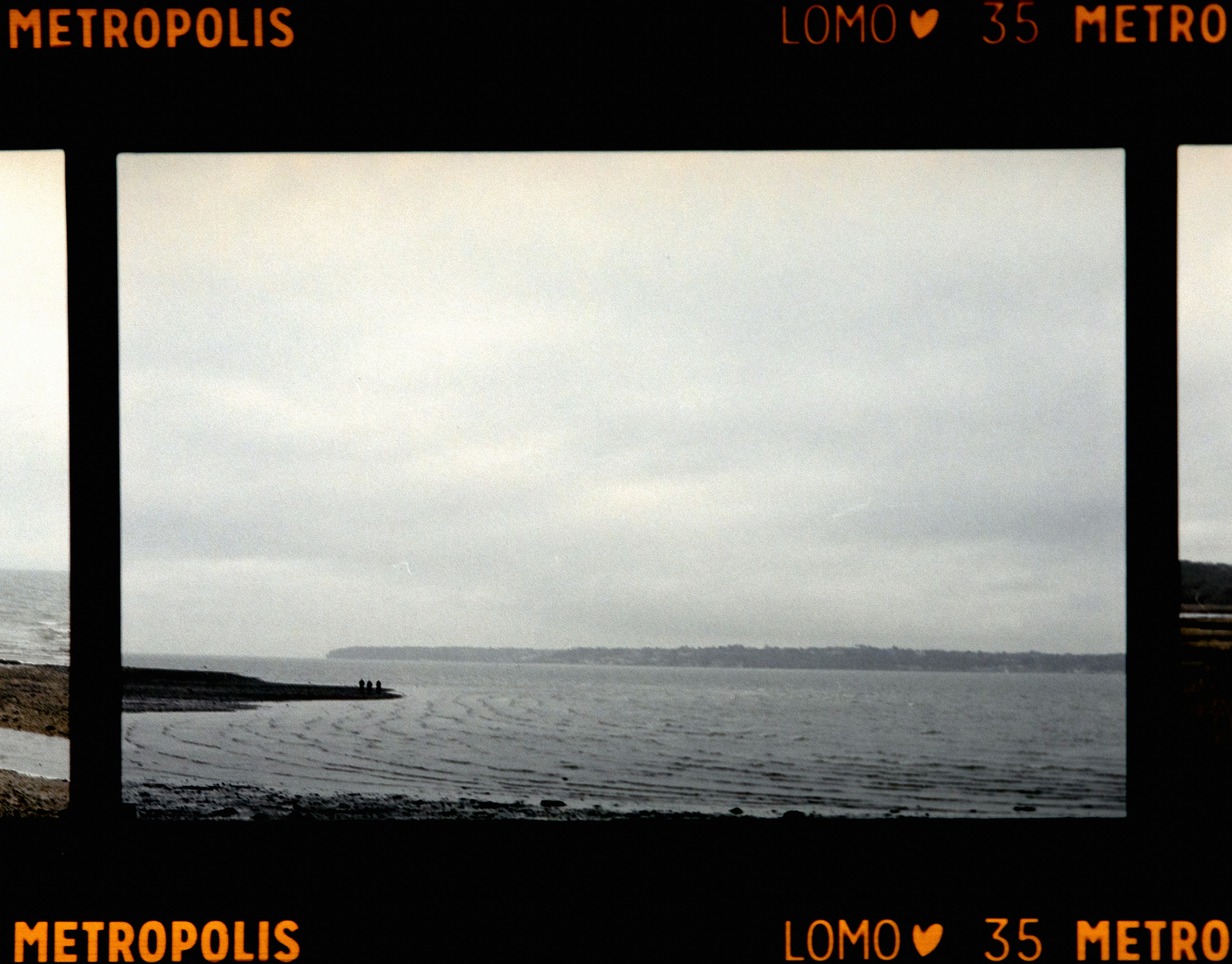 Imágenes de Lomo Saltado | Descarga imágenes gratuitas en Unsplash