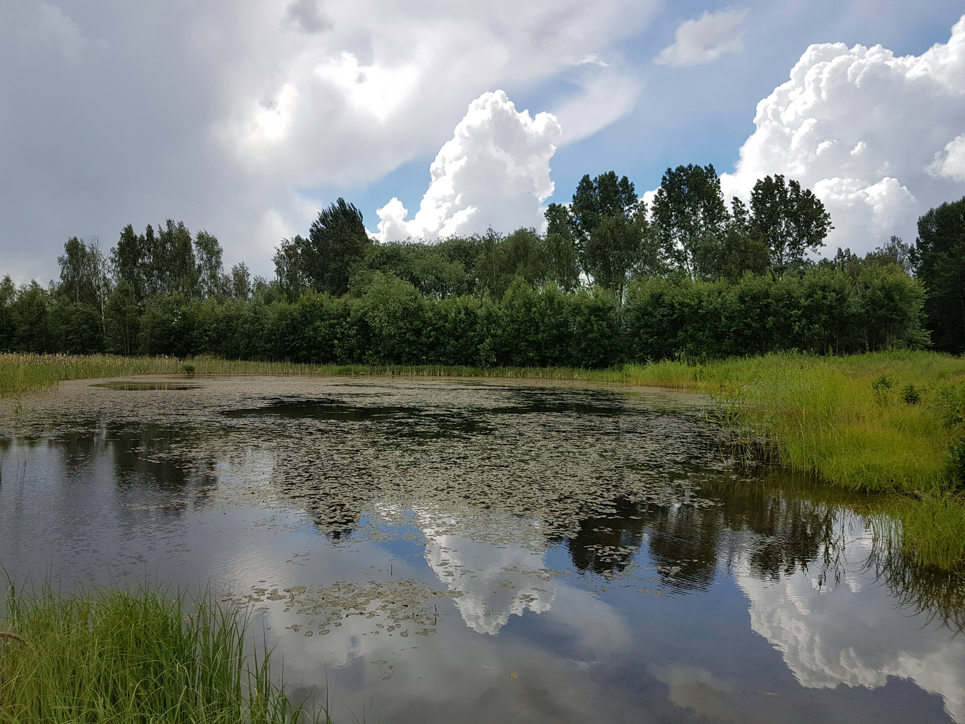 Photo by Christer Lässman with Samsung Galaxy S7