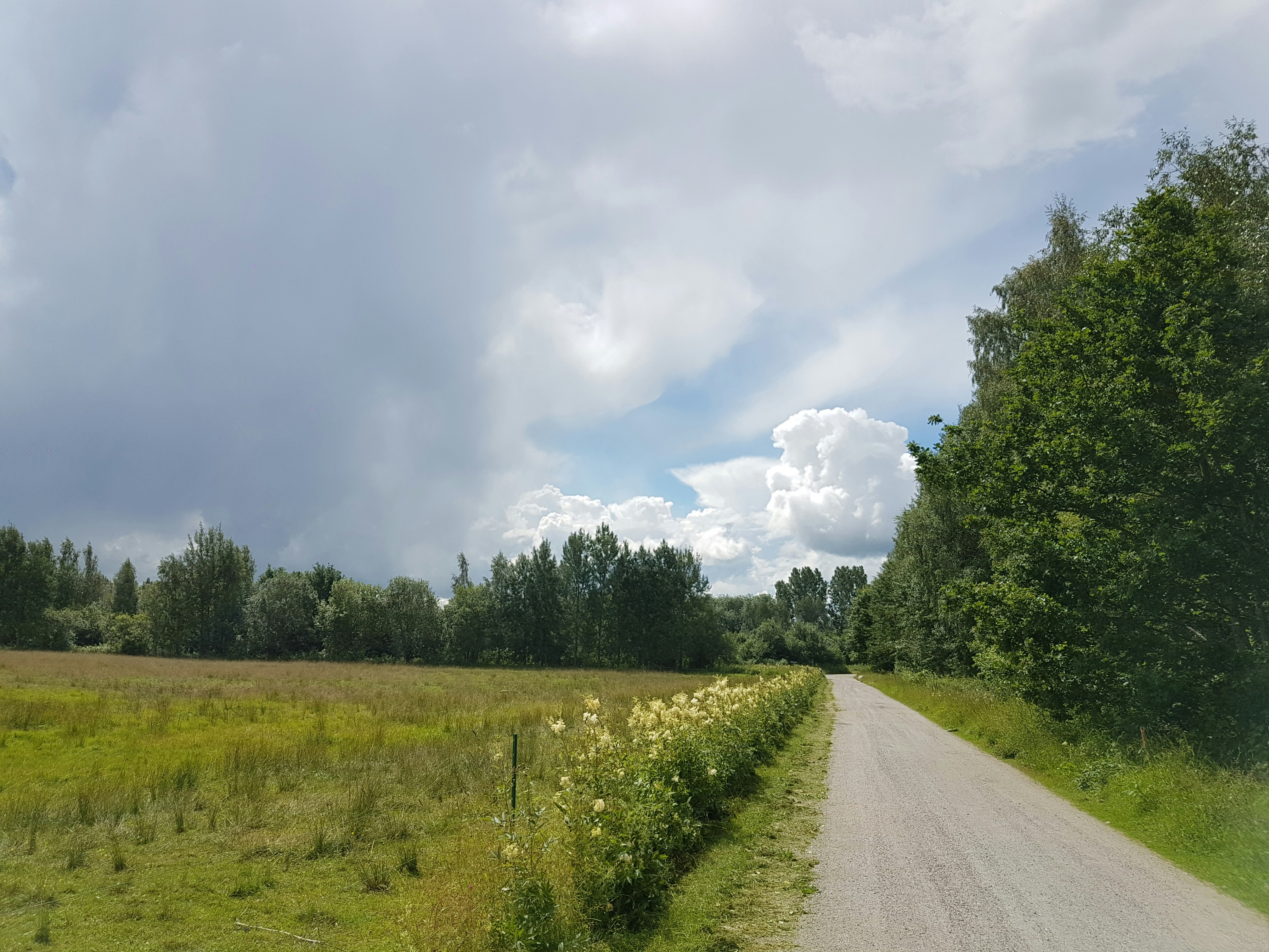 Sample photo from Samsung Galaxy S7