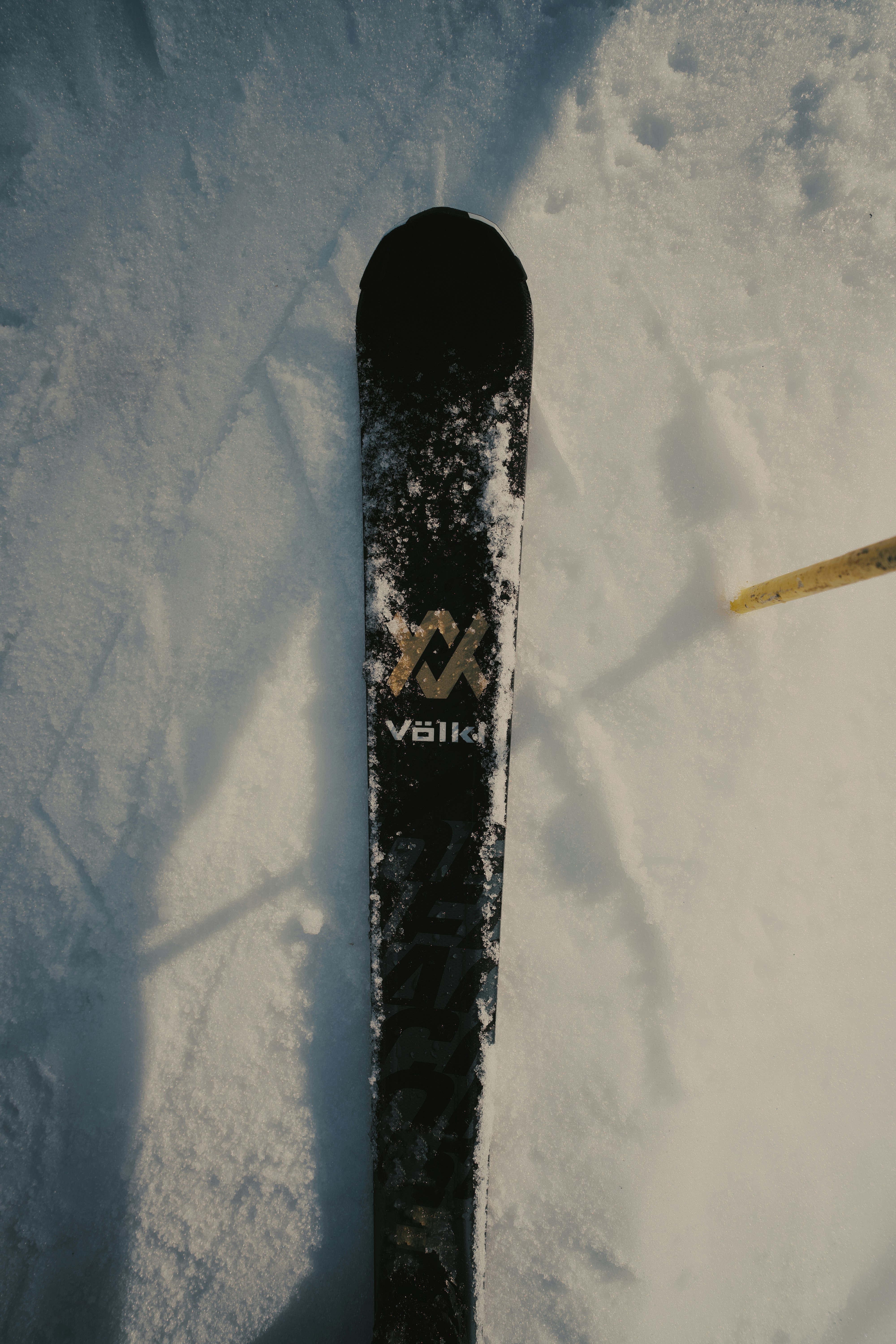 A pair of skis laying in the snow photo – Free Grey Image on Unsplash