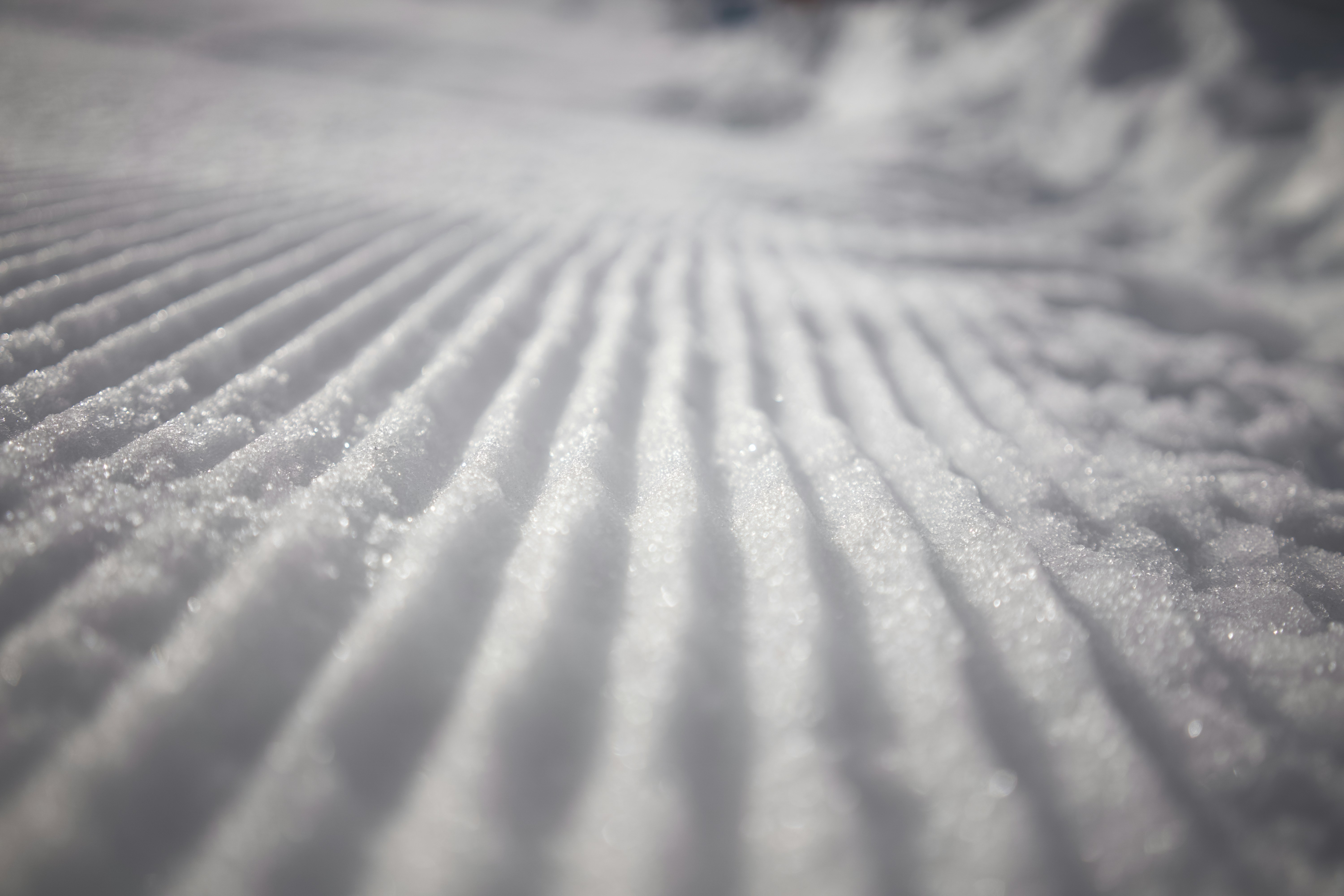 Ridges in Quiet Snow: A Macro Voyage Across Frosted Lines