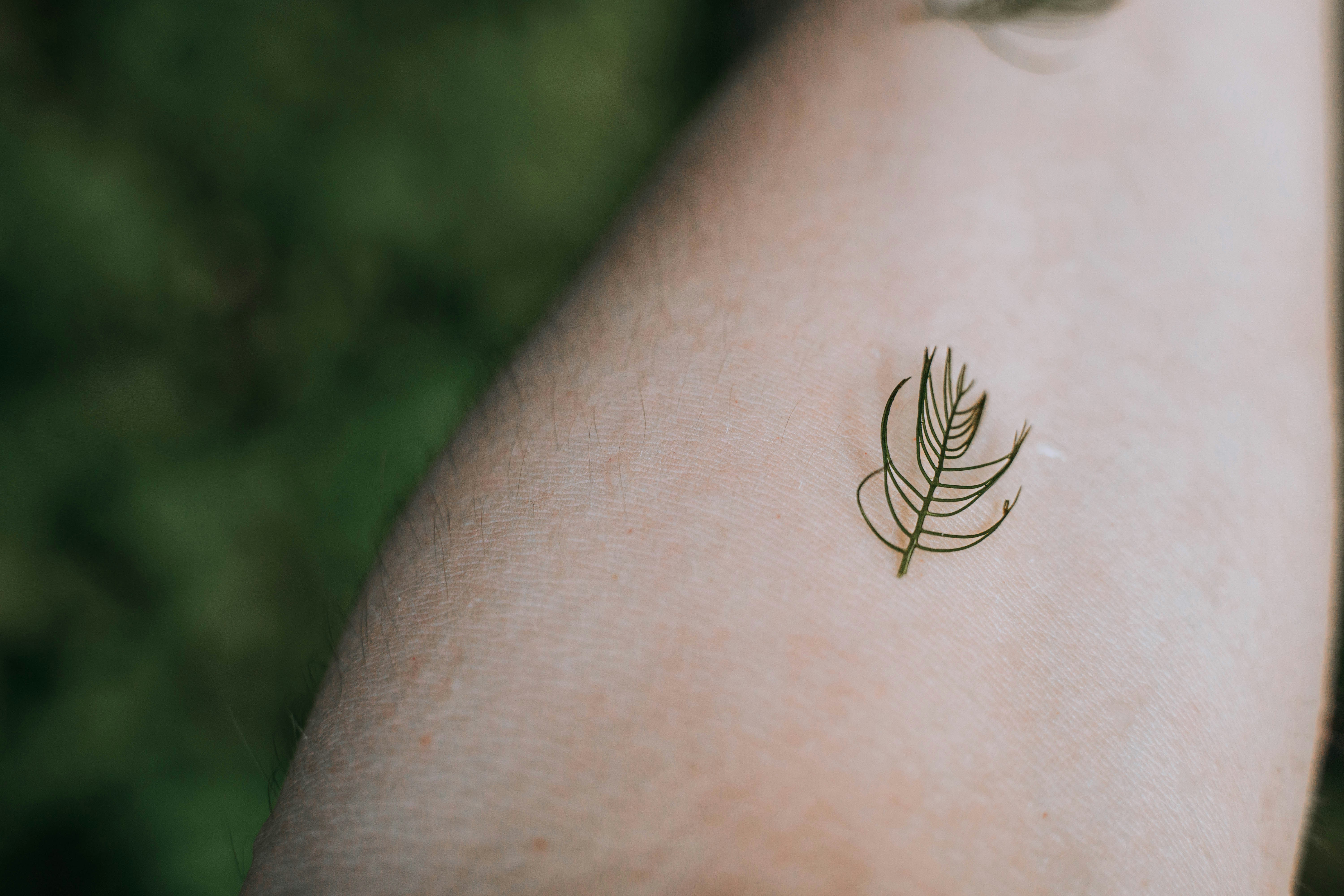 What Is A Tamlin Tattoo Pictures | Download Free Images on Unsplash