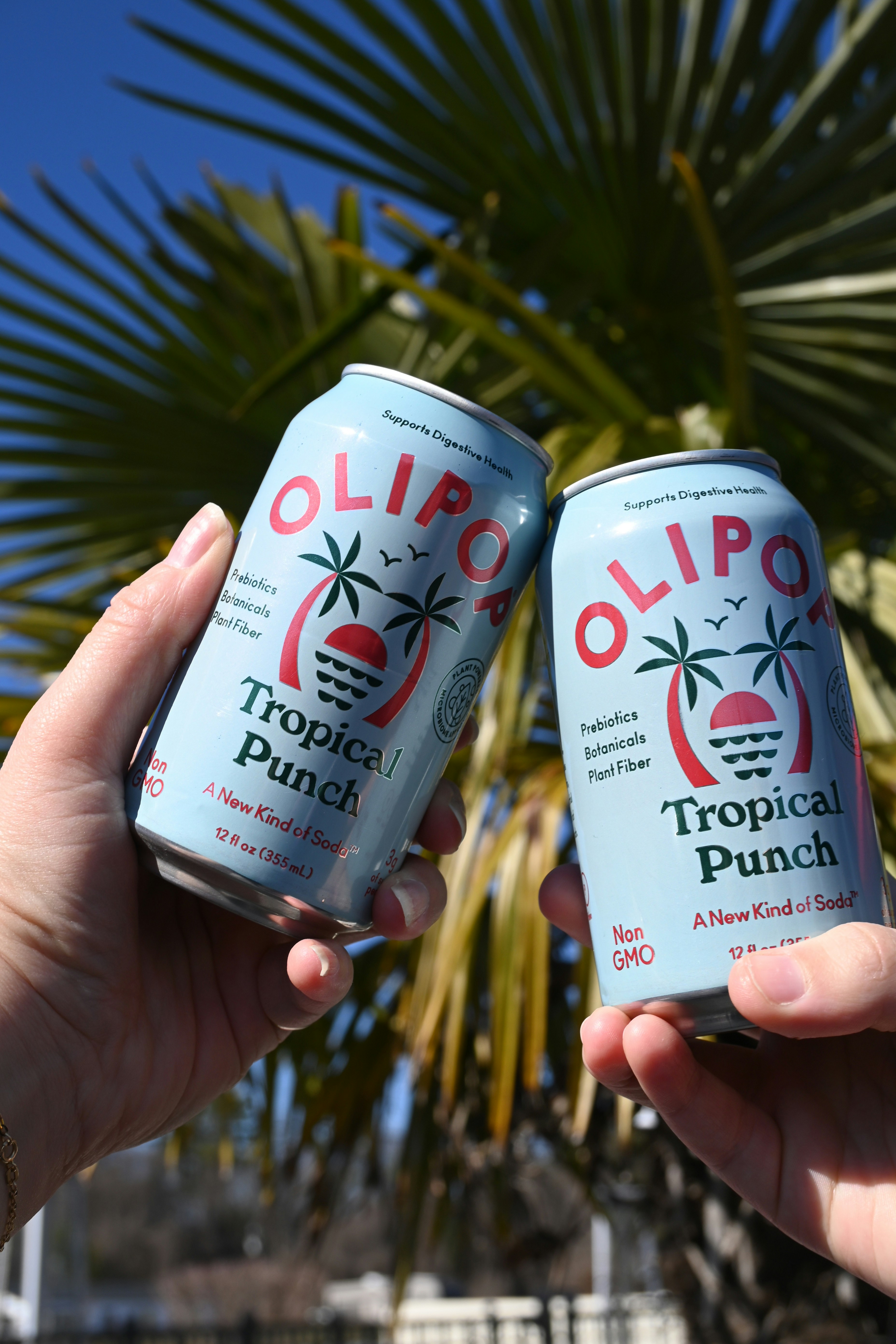 Two cans of tropical punch in front of a palm tree photo – Free Usa ...