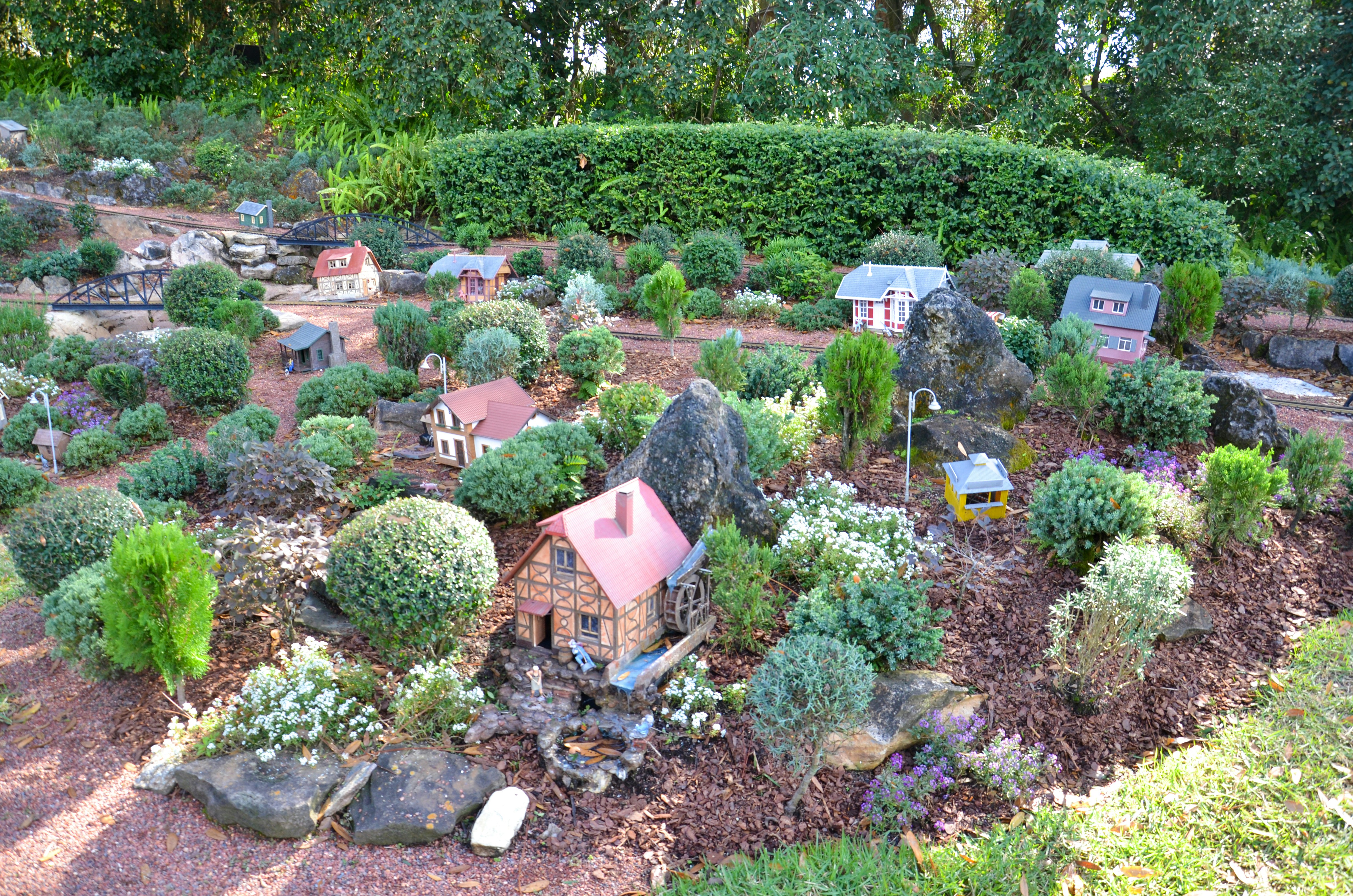 A garden filled with lots of different types of plants photo – Free ...