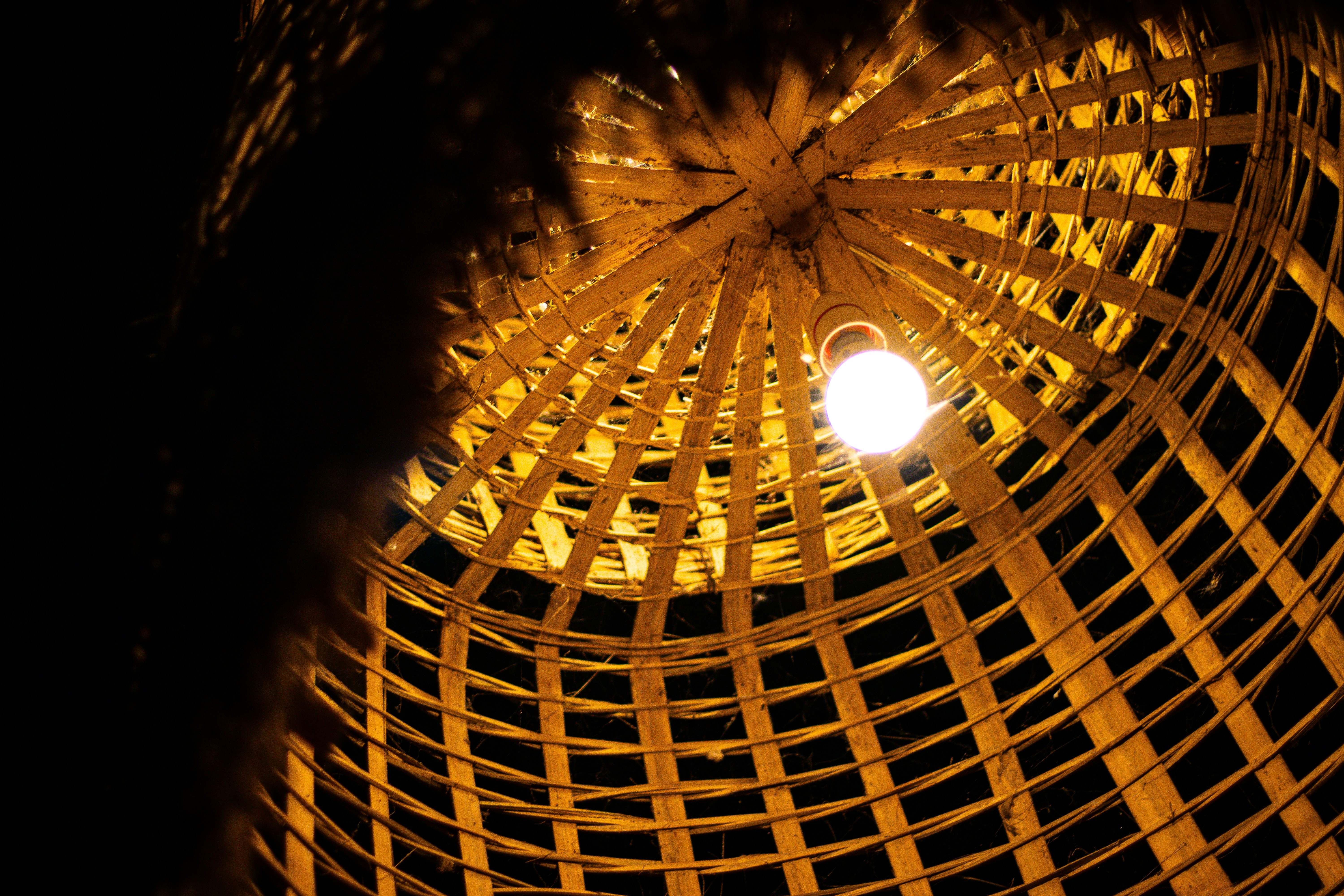 Aesthetic handcrafted light bulb | a light that is on inside of a structure