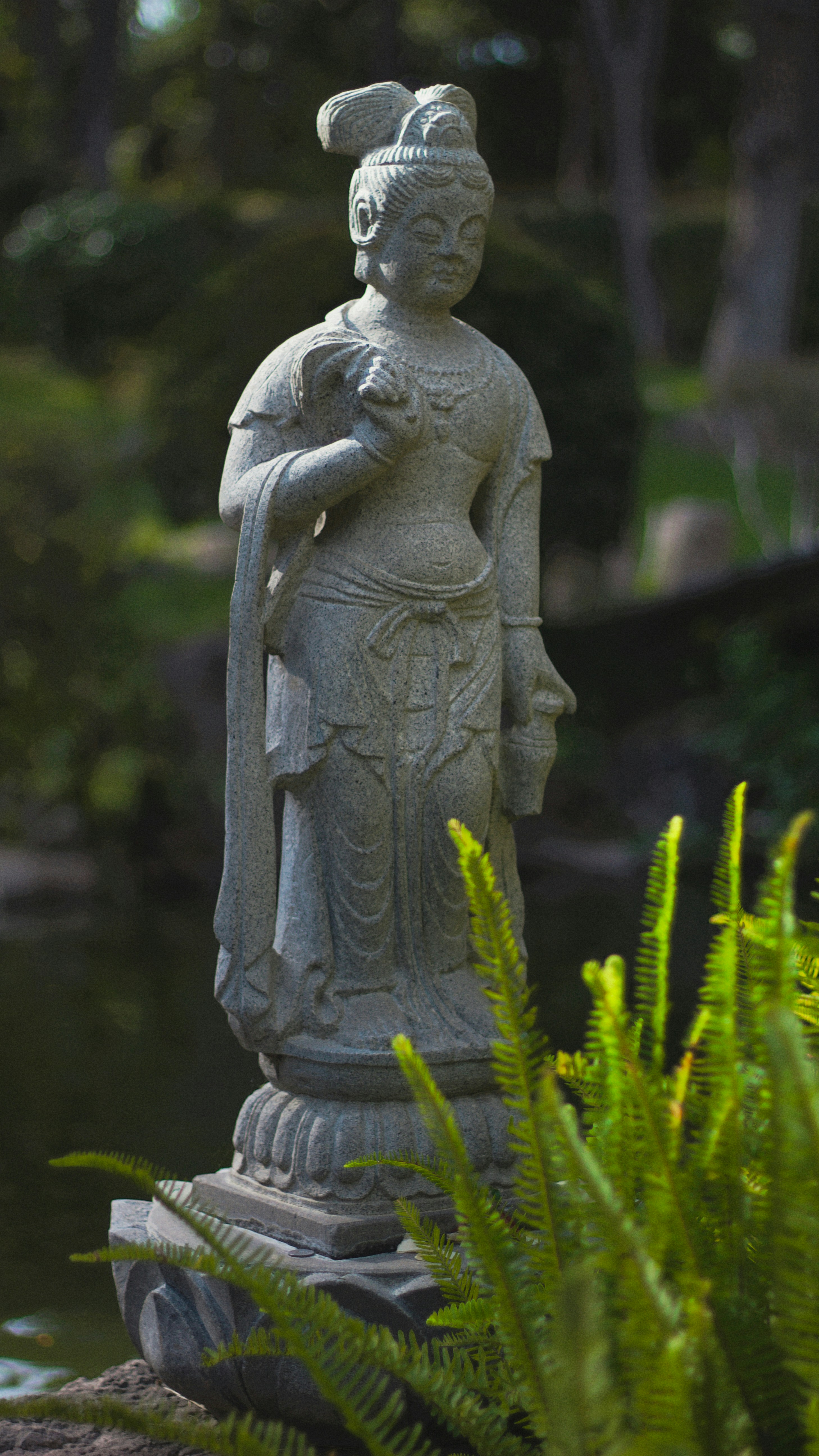 Photo by Héctor Morales Guzmán with Canon EOS 1300D