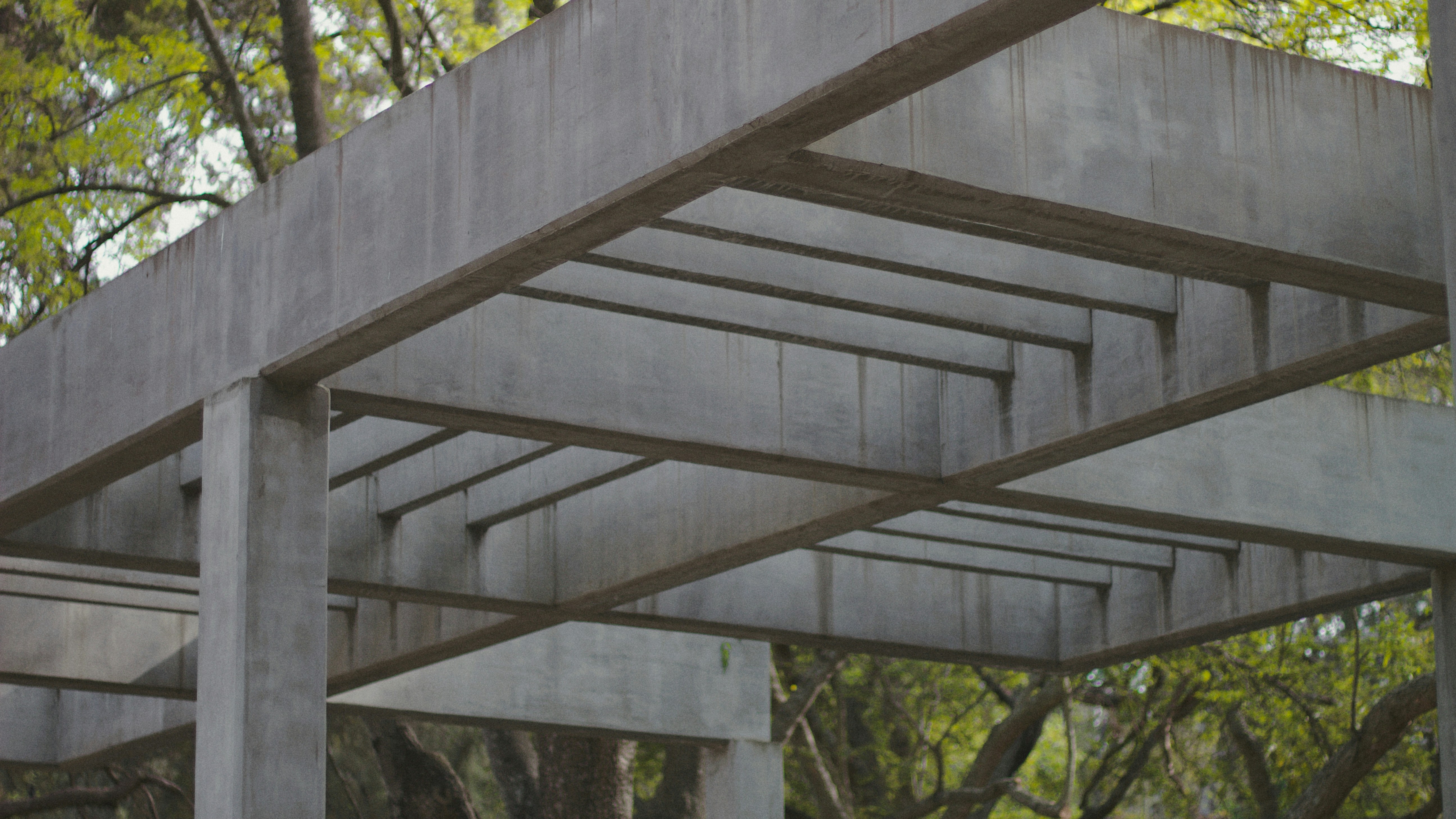Concrete Lattice Overhead in a Quiet Park