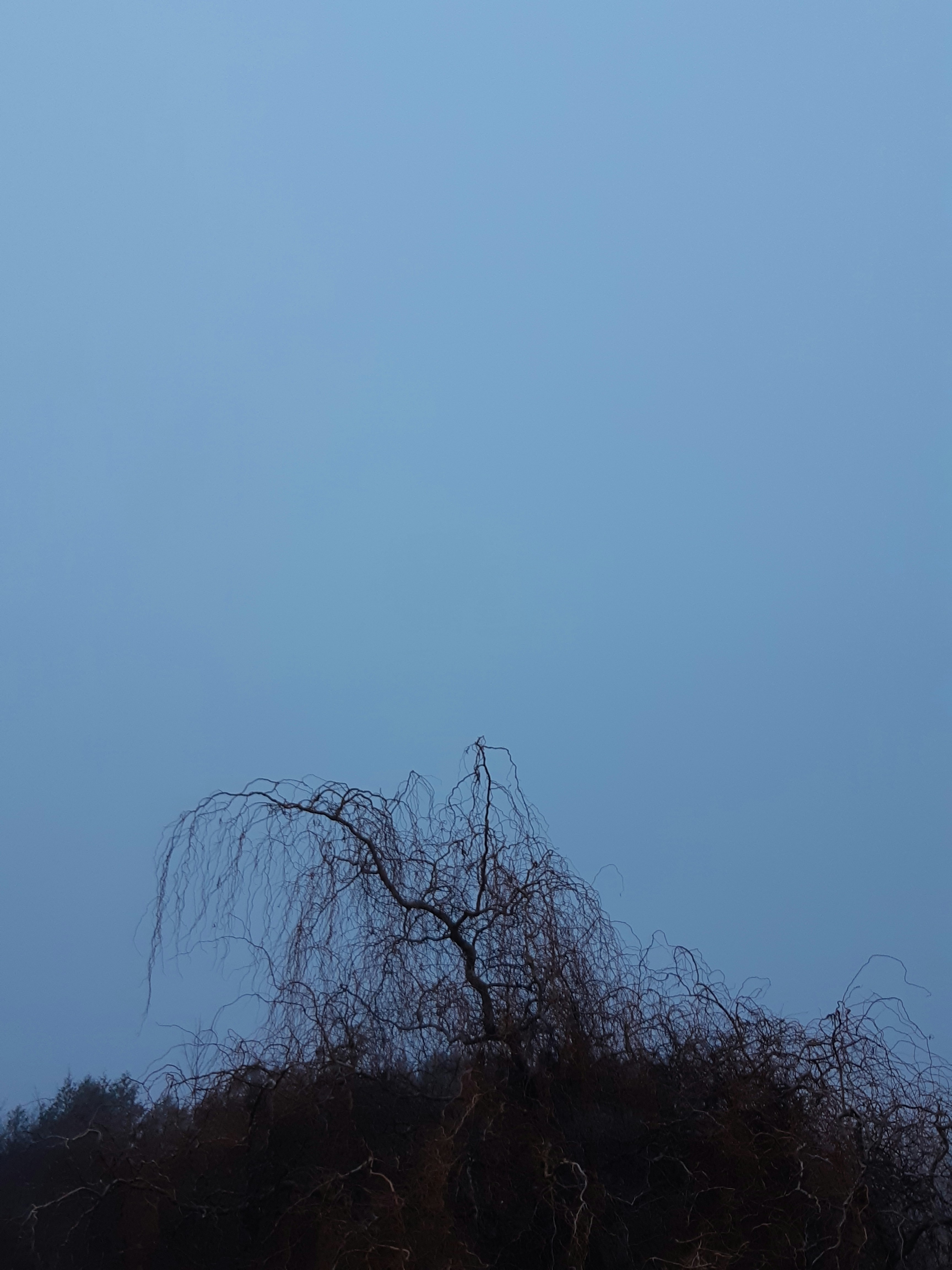 Photo by Doug R. W. Dunigan with Samsung Galaxy A8