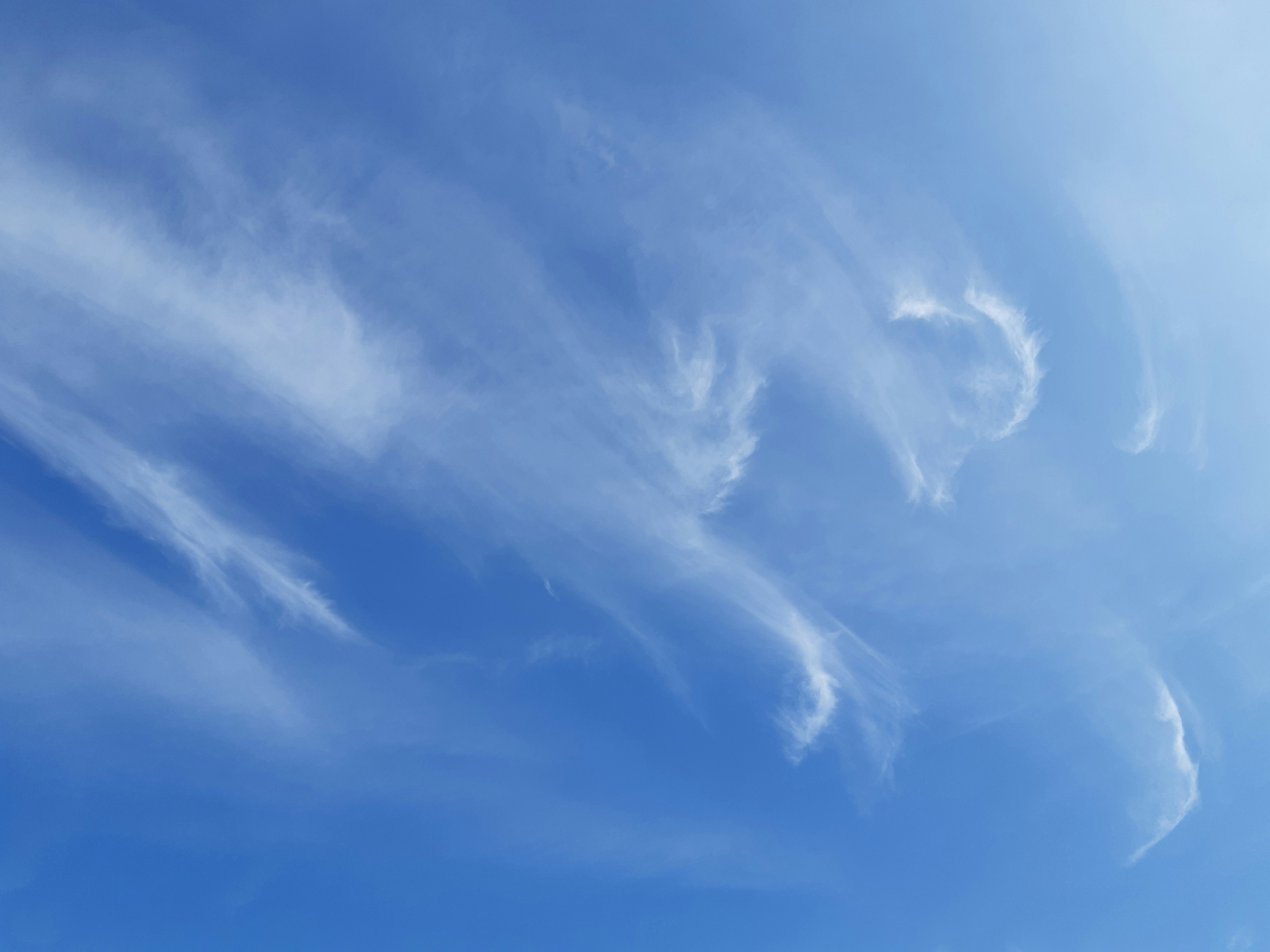 Photo by Doug R. W. Dunigan with Samsung Galaxy A8