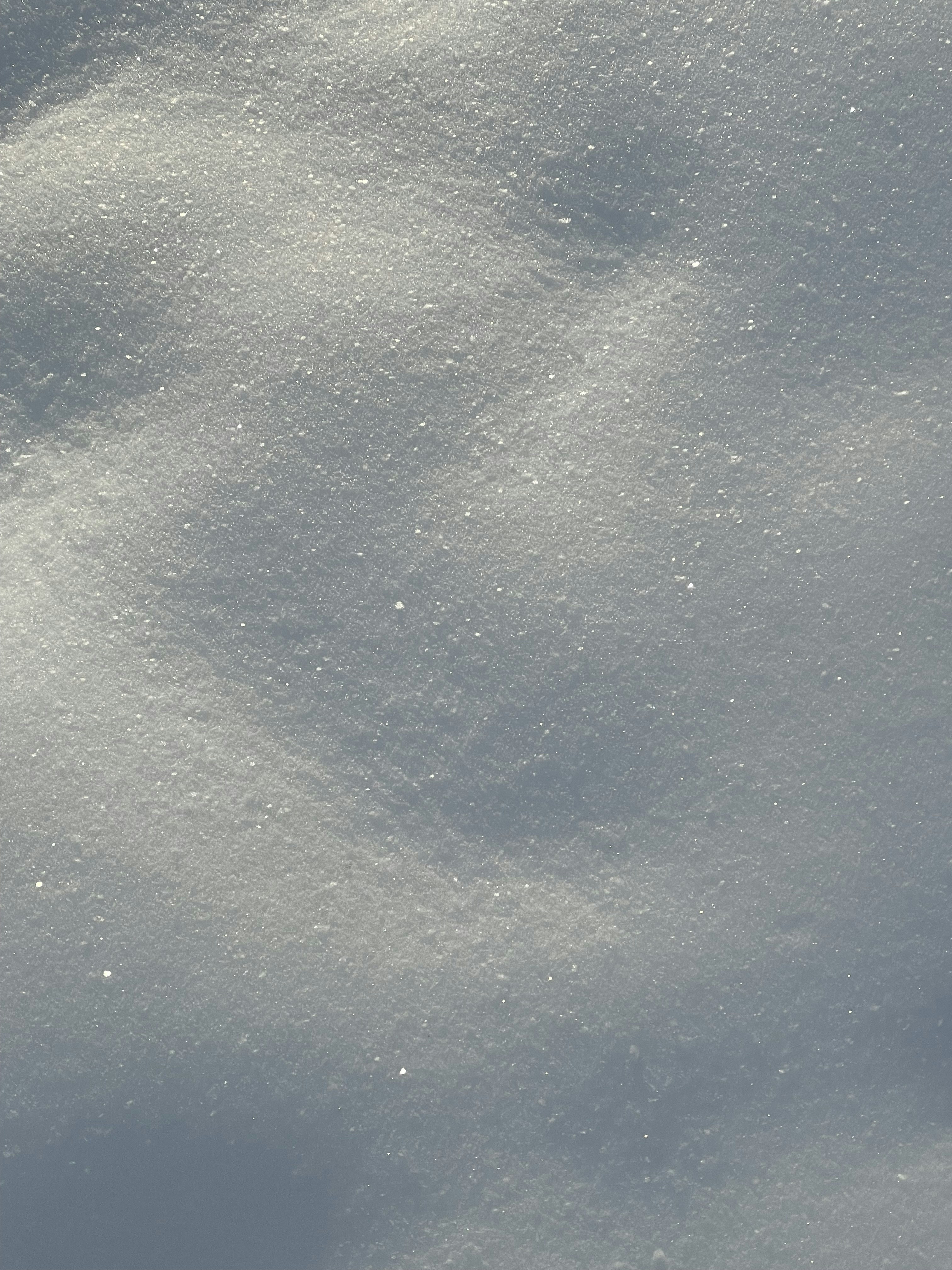 A snow covered field with a bird flying over it photo – Free Texture ...