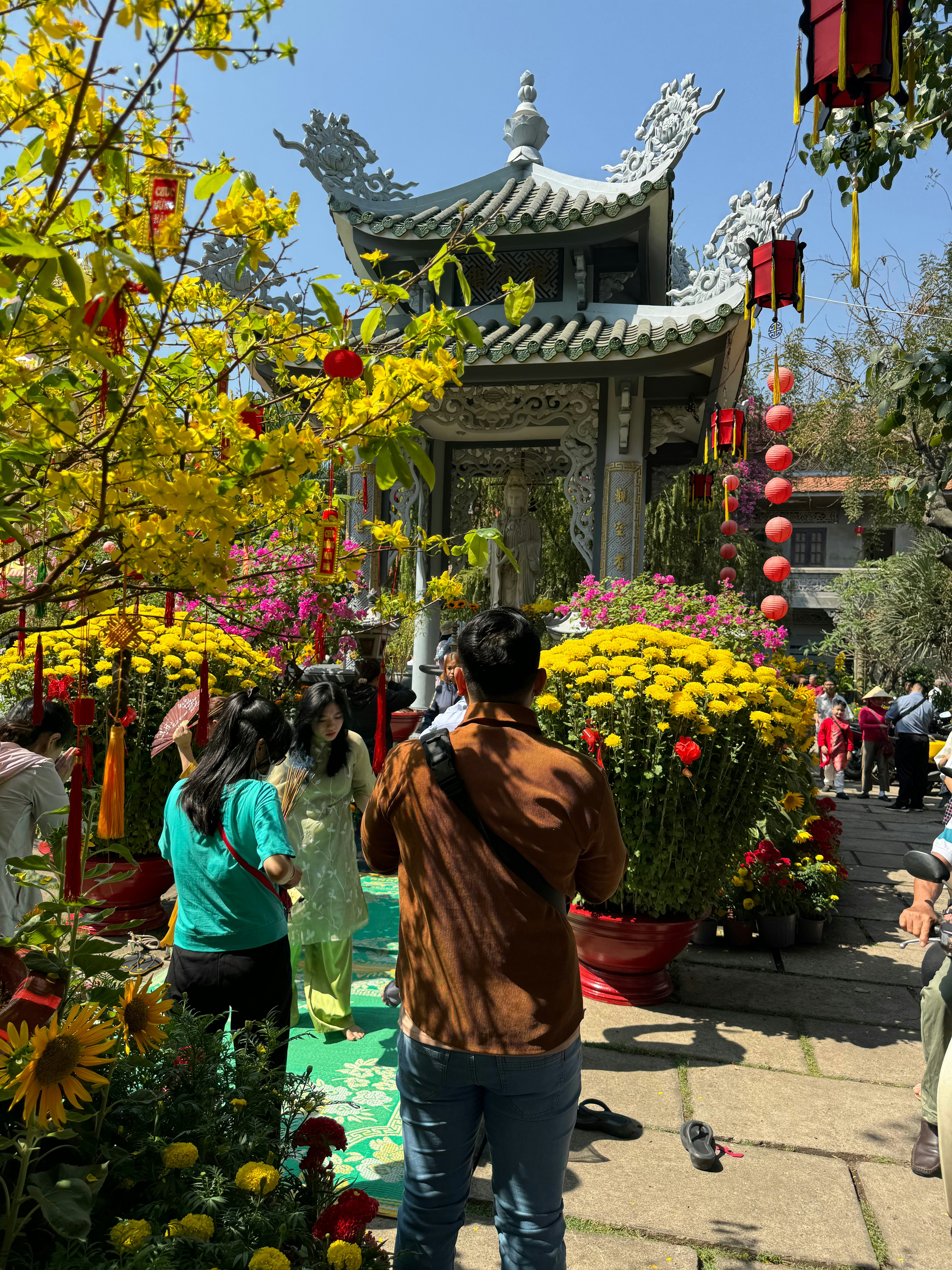Lens in a Sunlit Temple Courtyard: Chrysanthemums, Lanterns, and a Photographer