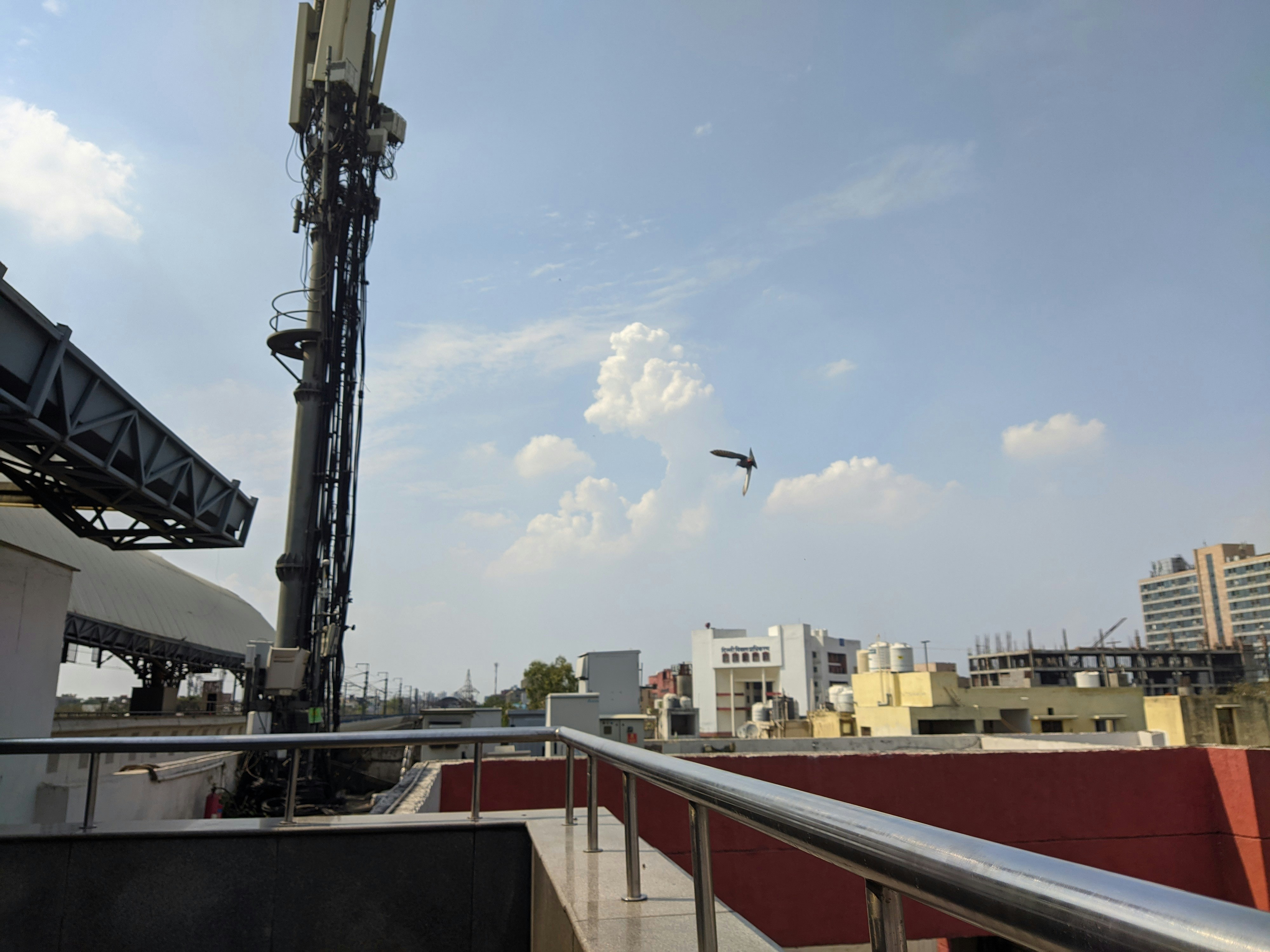 Rooftop Horizon: Crane, Rail, and Flight